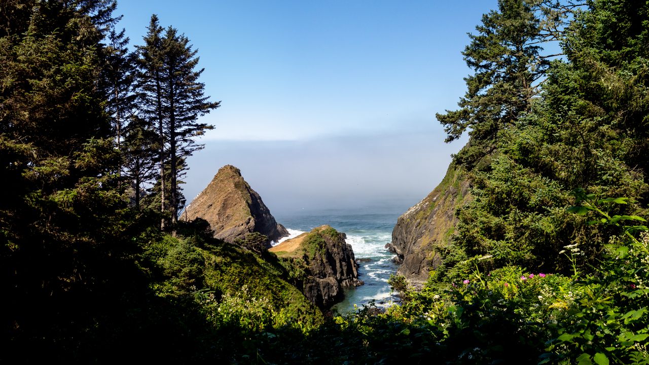 Wallpaper rocks, trees, sea, water, landscape hd, picture, image