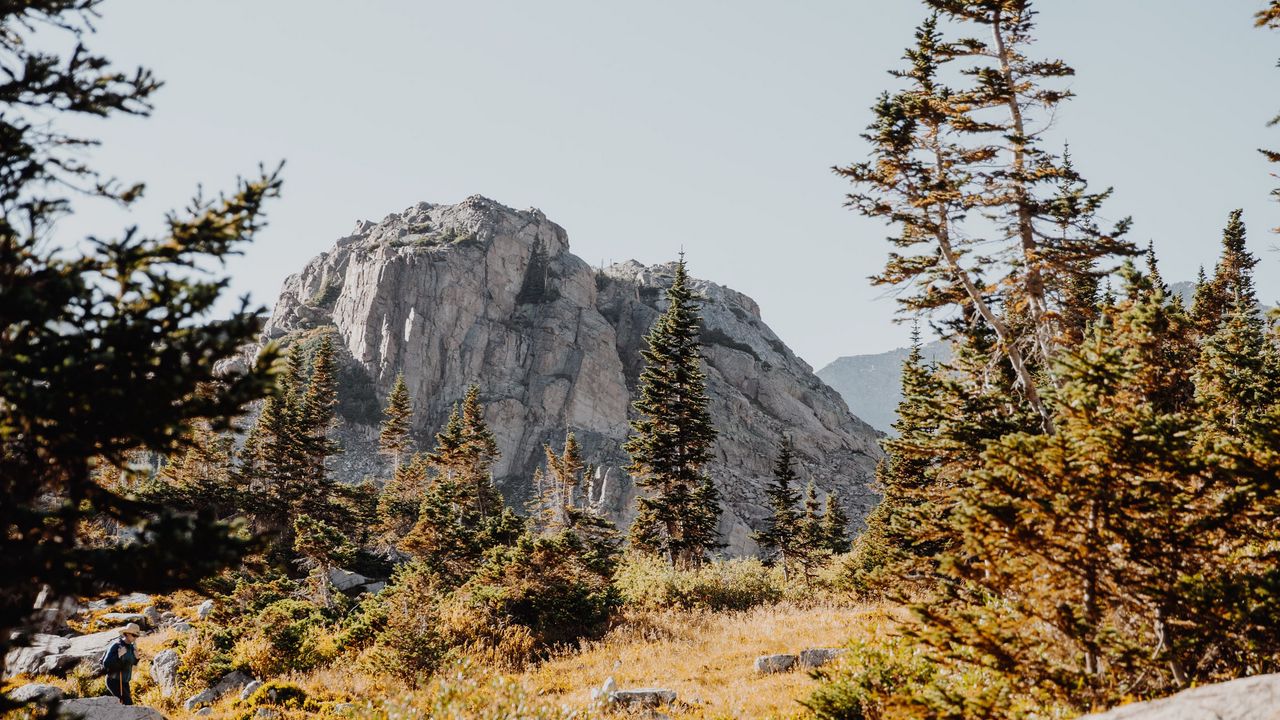Wallpaper rocks, trees, spruce, stones hd, picture, image