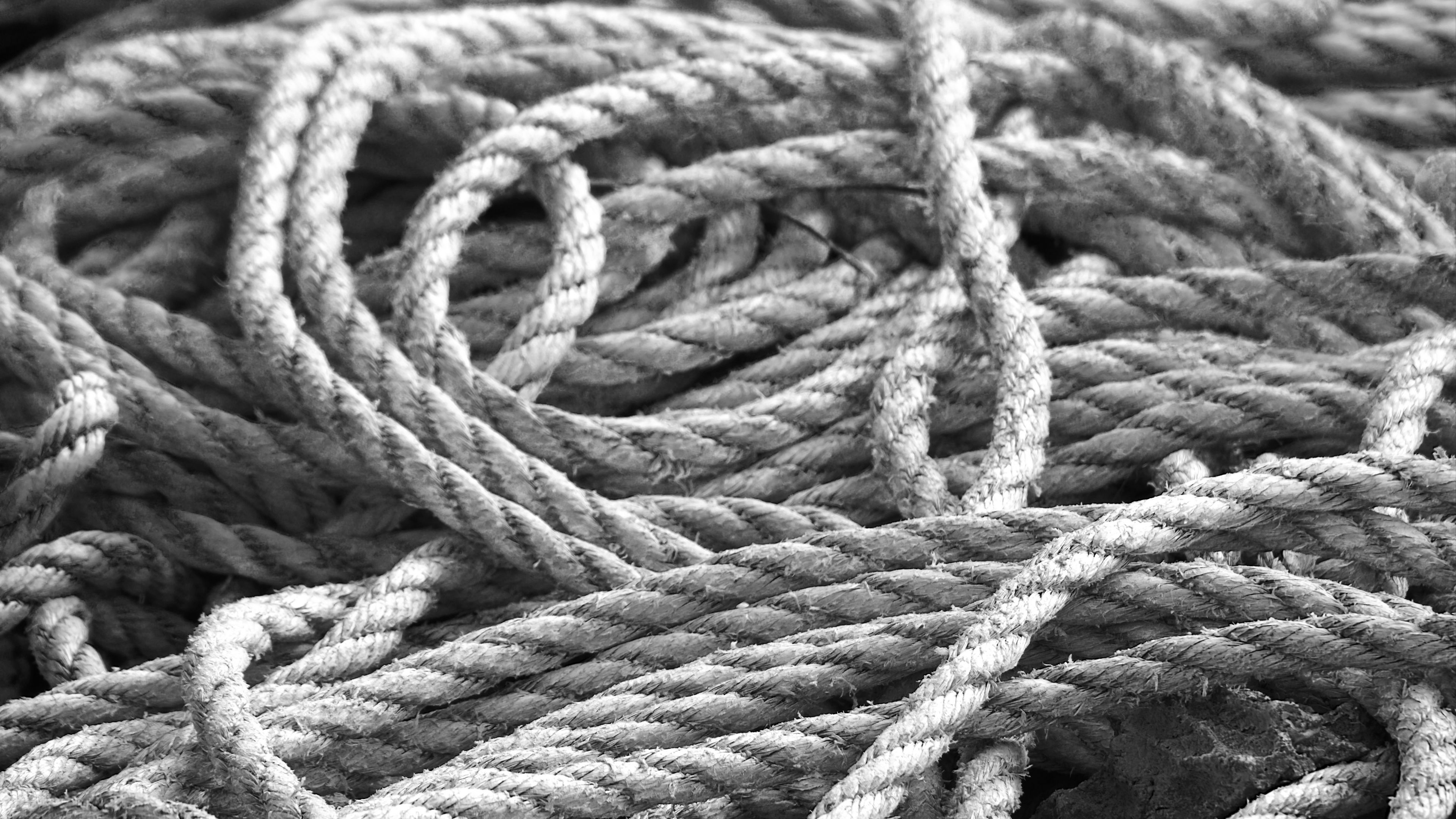 Download wallpaper 3840x2160 rope, macro, black and white 4k uhd 16:9 ...