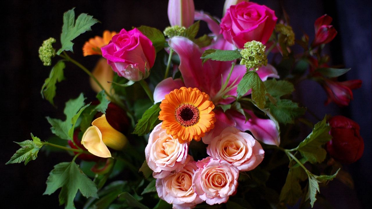 Wallpaper roses, gerberas, lilies, flowers, bunch, charm hd, picture, image Wallpaper roses, gerberas, lilies, flowers, bunch, charm hd, picture, image
