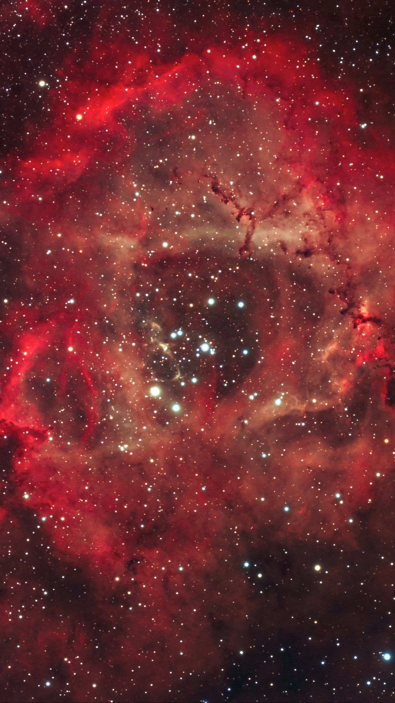 Download wallpaper 1350x2400 rosette nebula, nebula, stars, space, glow ...