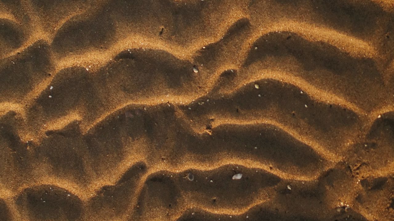 Wallpaper sand, desert, wavy, shells hd, picture, image