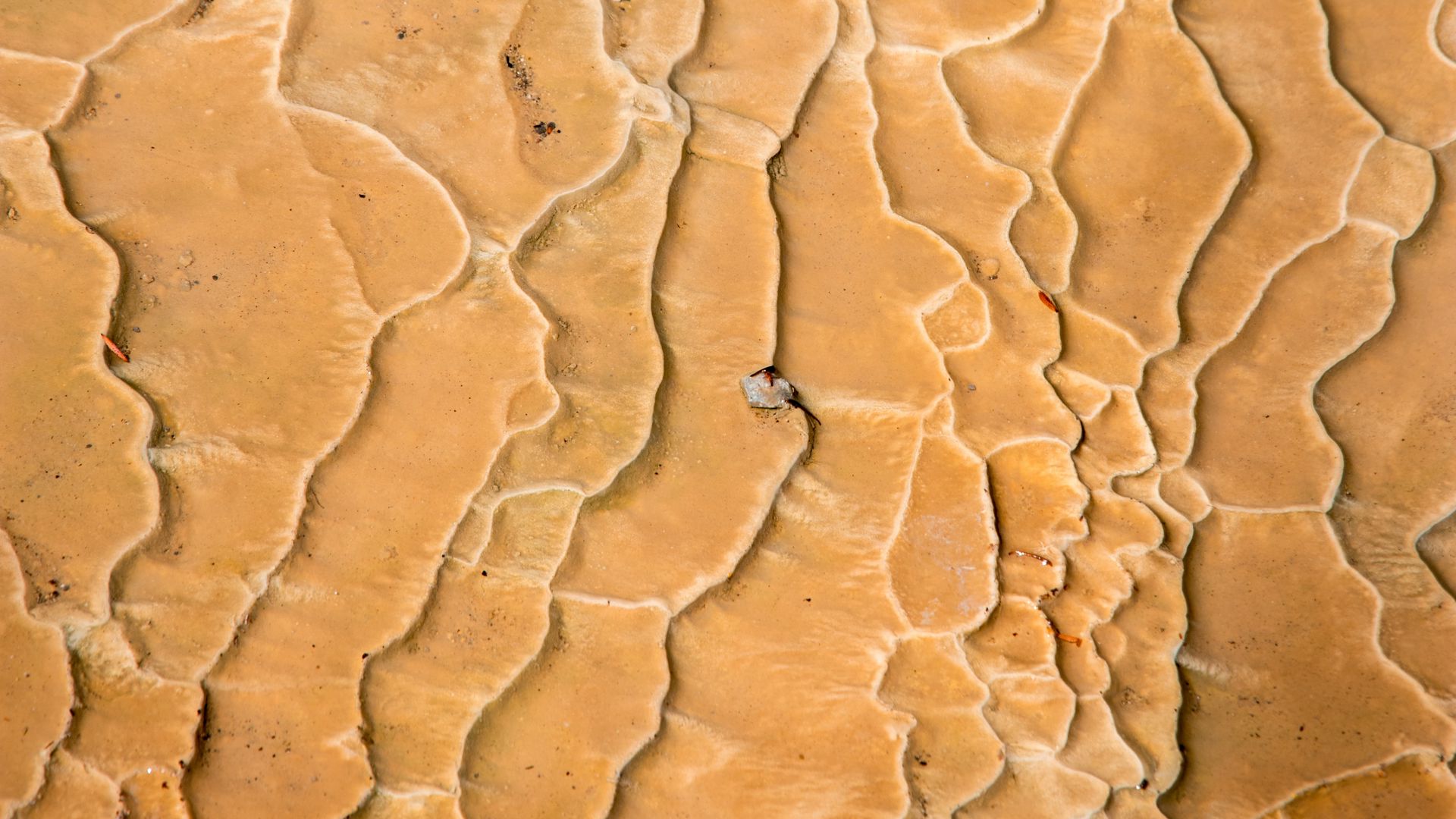 Download wallpaper 1920x1080 sand, traces, drought, texture full hd ...