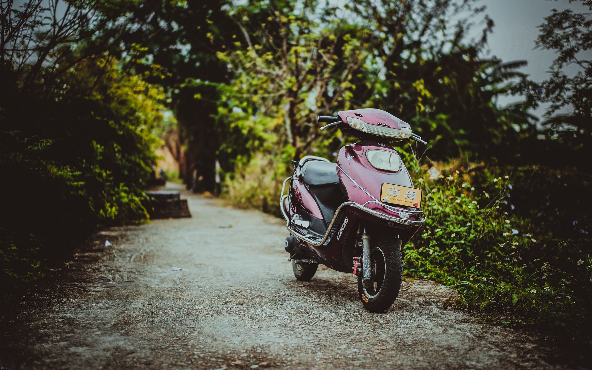 Download wallpaper 1920x1200 scooter, moto, moped, front view ...