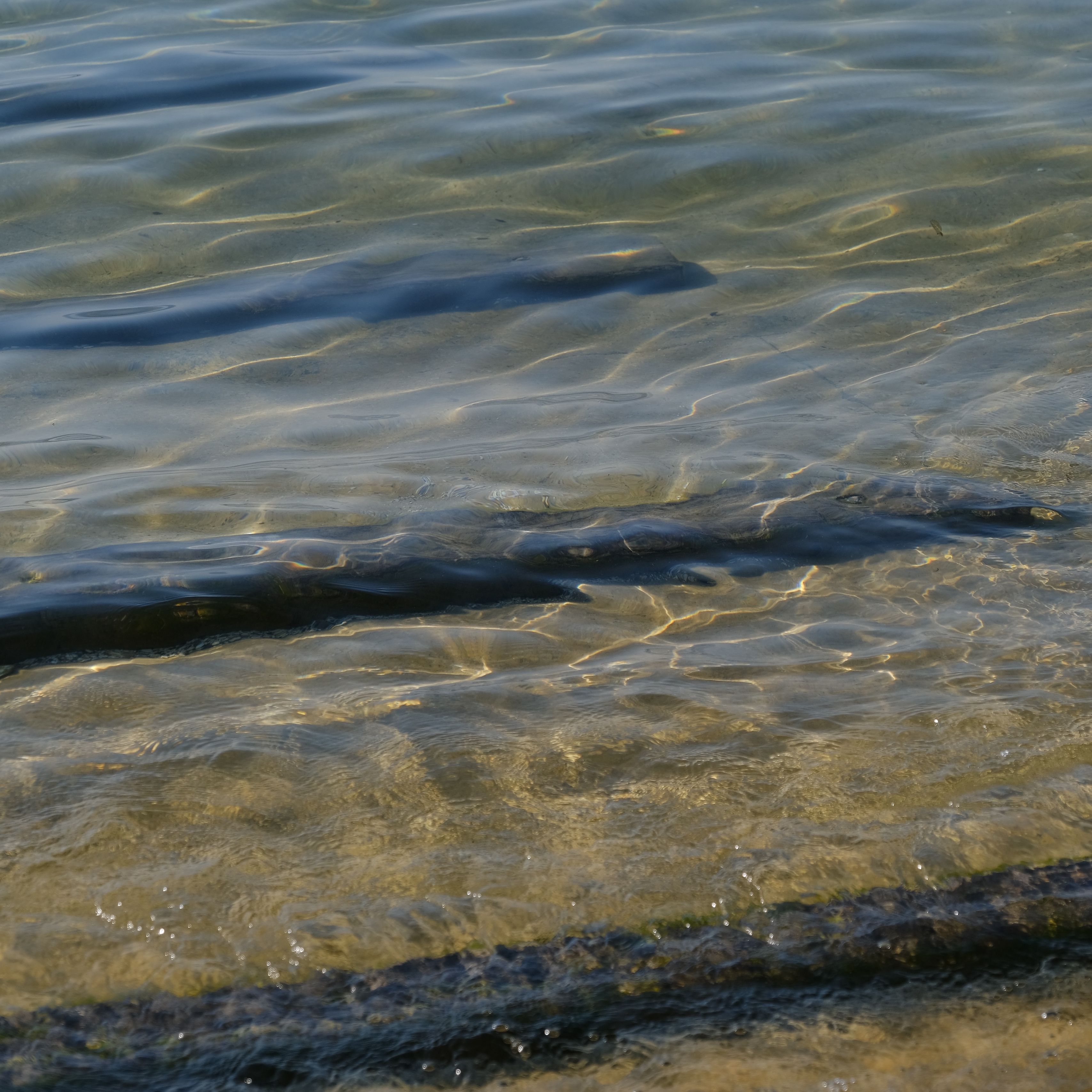 Download wallpaper 3415x3415 sea, bottom, waves ipad pro 12.9" retina ...