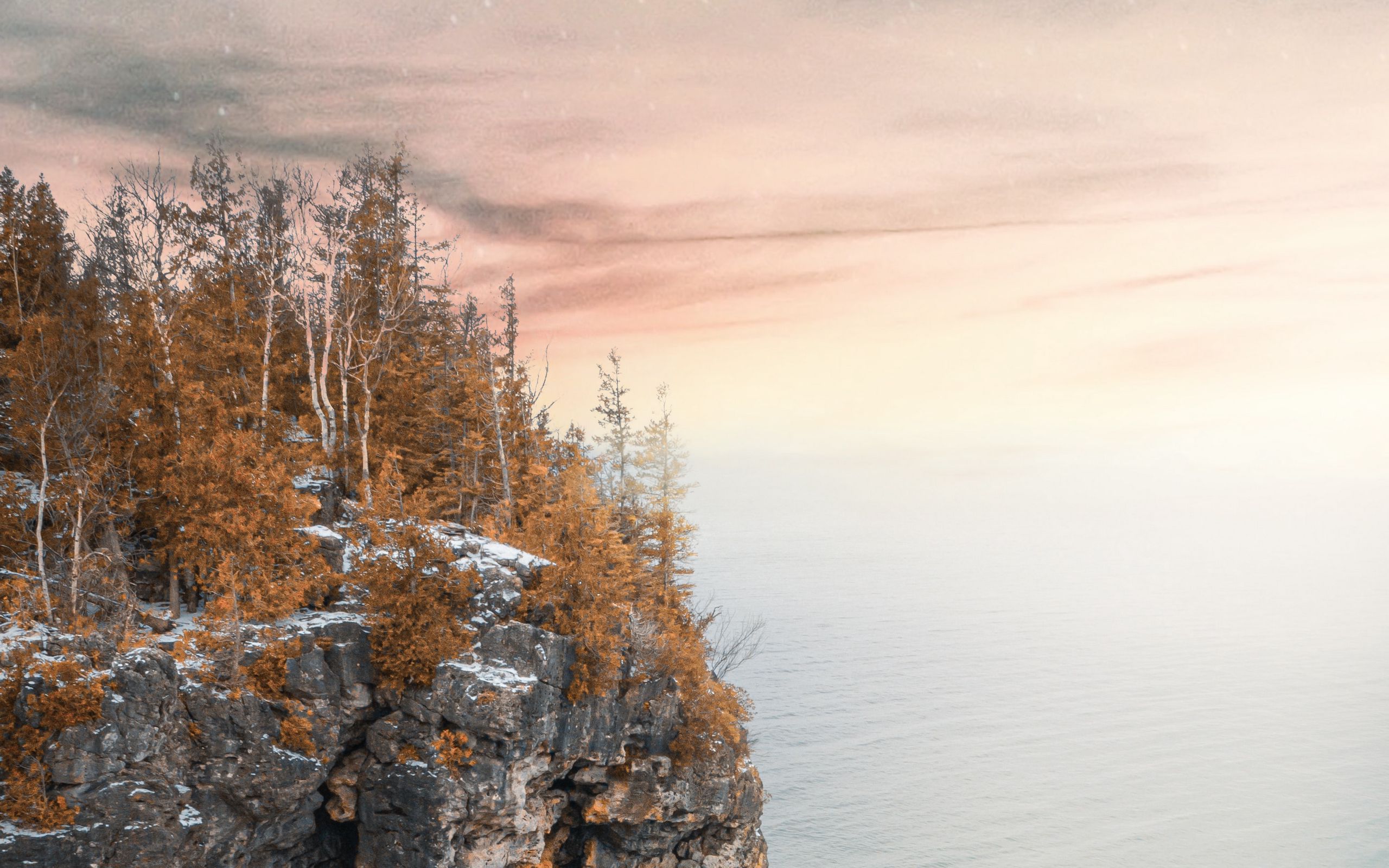 Download wallpaper 2560x1600 sea, cliff, trees, snow, landscape ...