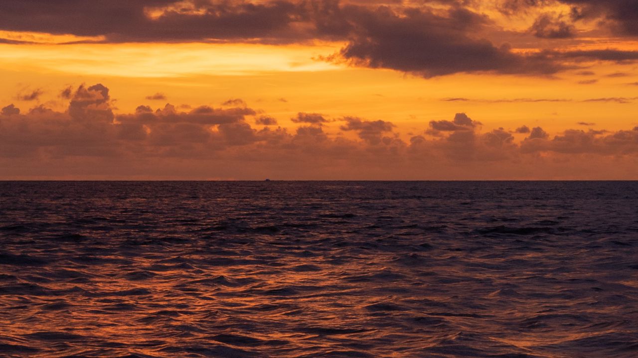 Wallpaper sea, sunset, dusk, waves, water hd, picture, image