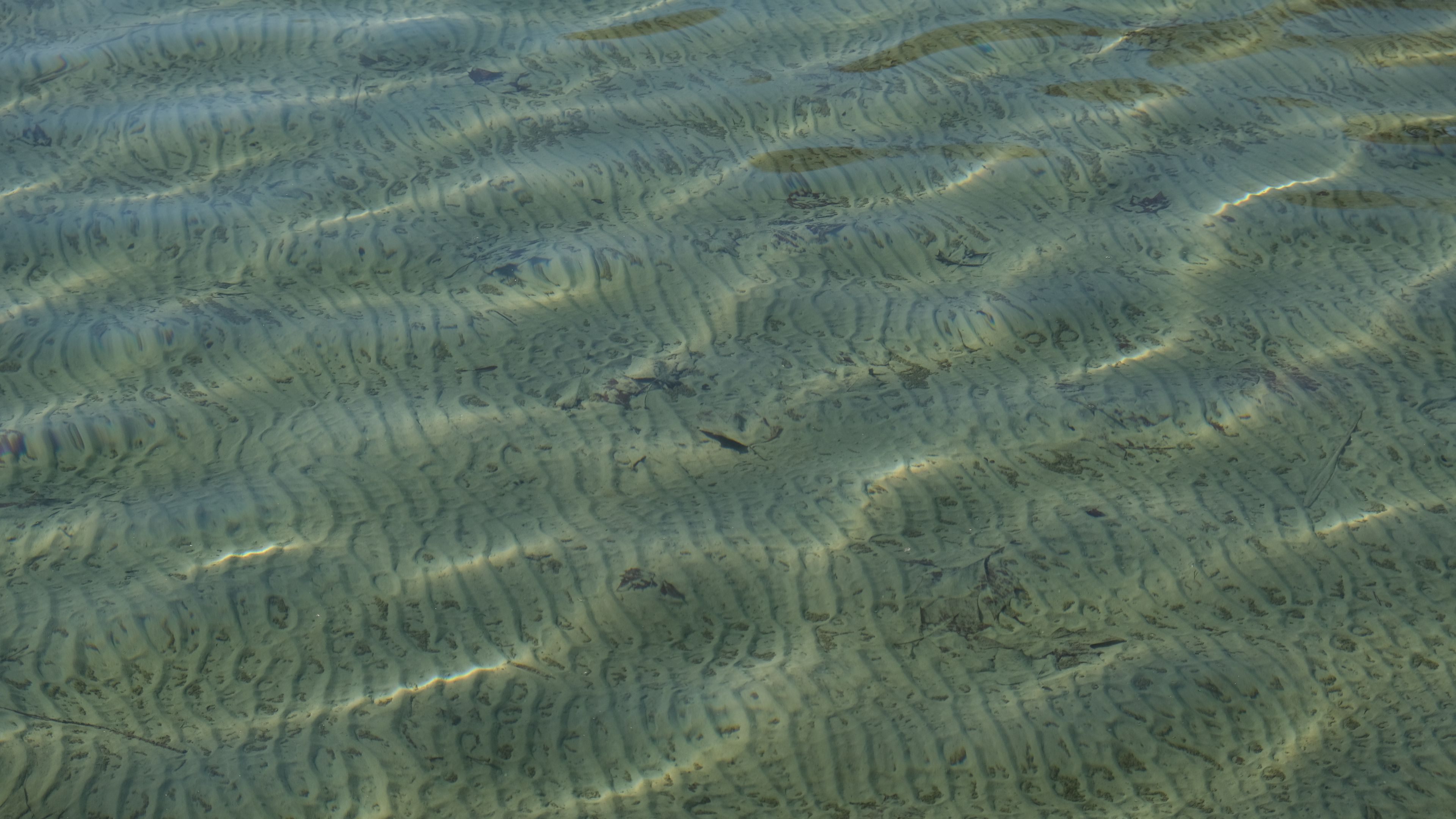 Download wallpaper 3840x2160 sea, water, bottom, ripples, glare 4k uhd ...
