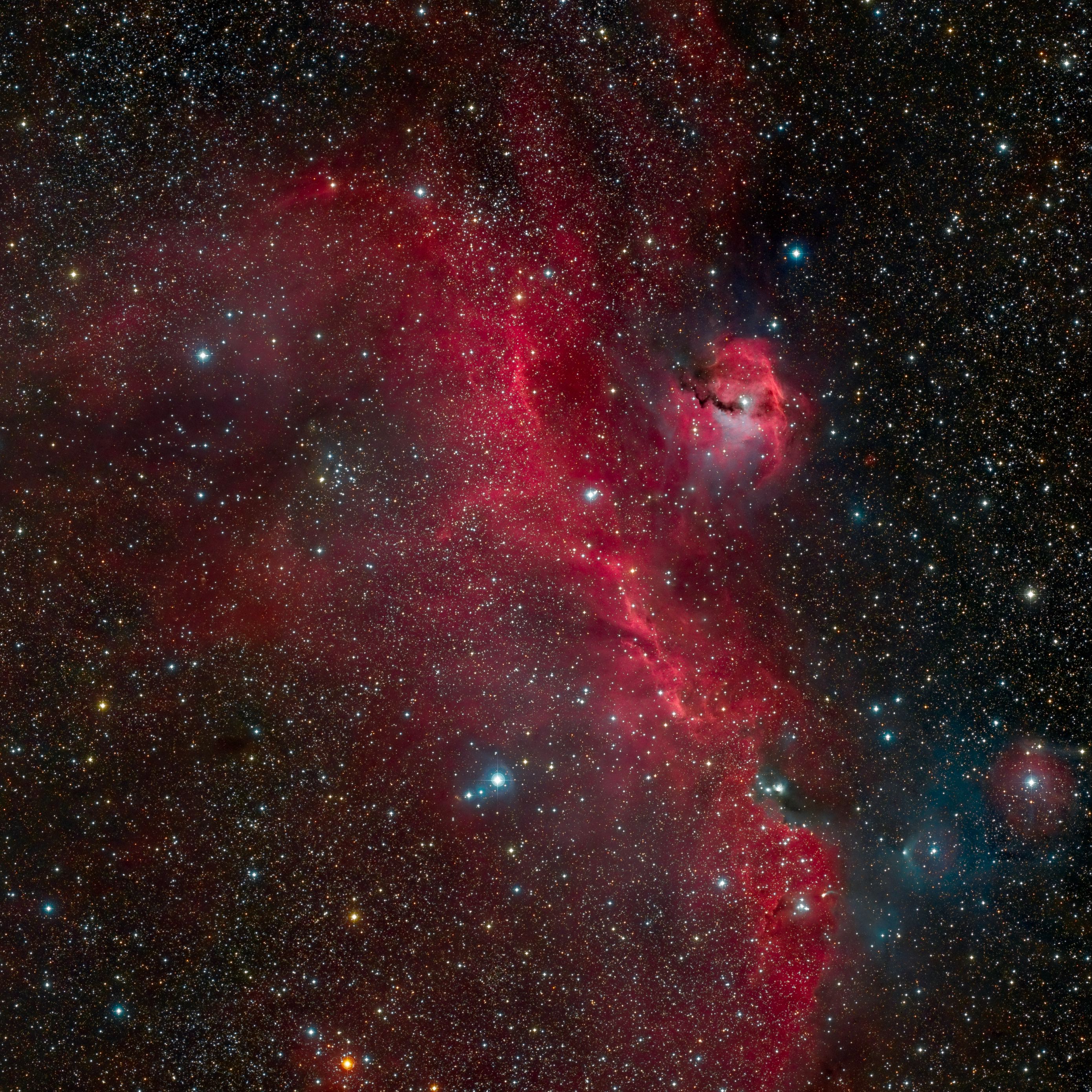 Download wallpaper 2780x2780 seagull nebula, nebula, stars, space ipad ...