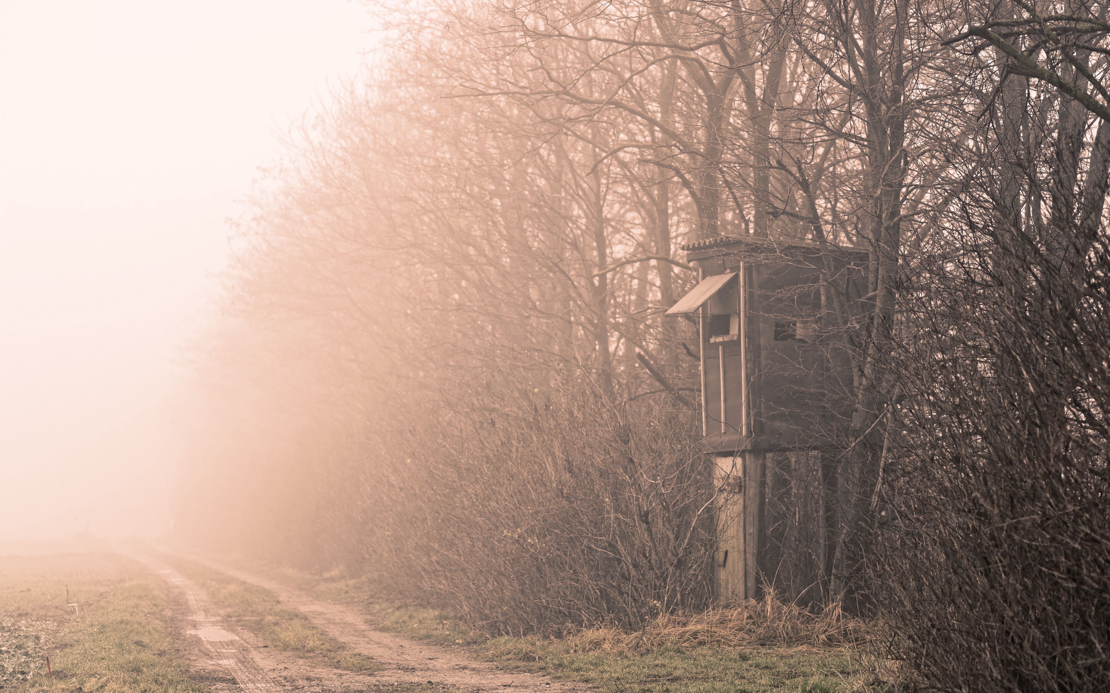 Download wallpaper 3840x2400 shack, trees, fog, nature 4k ultra hd 16: ...