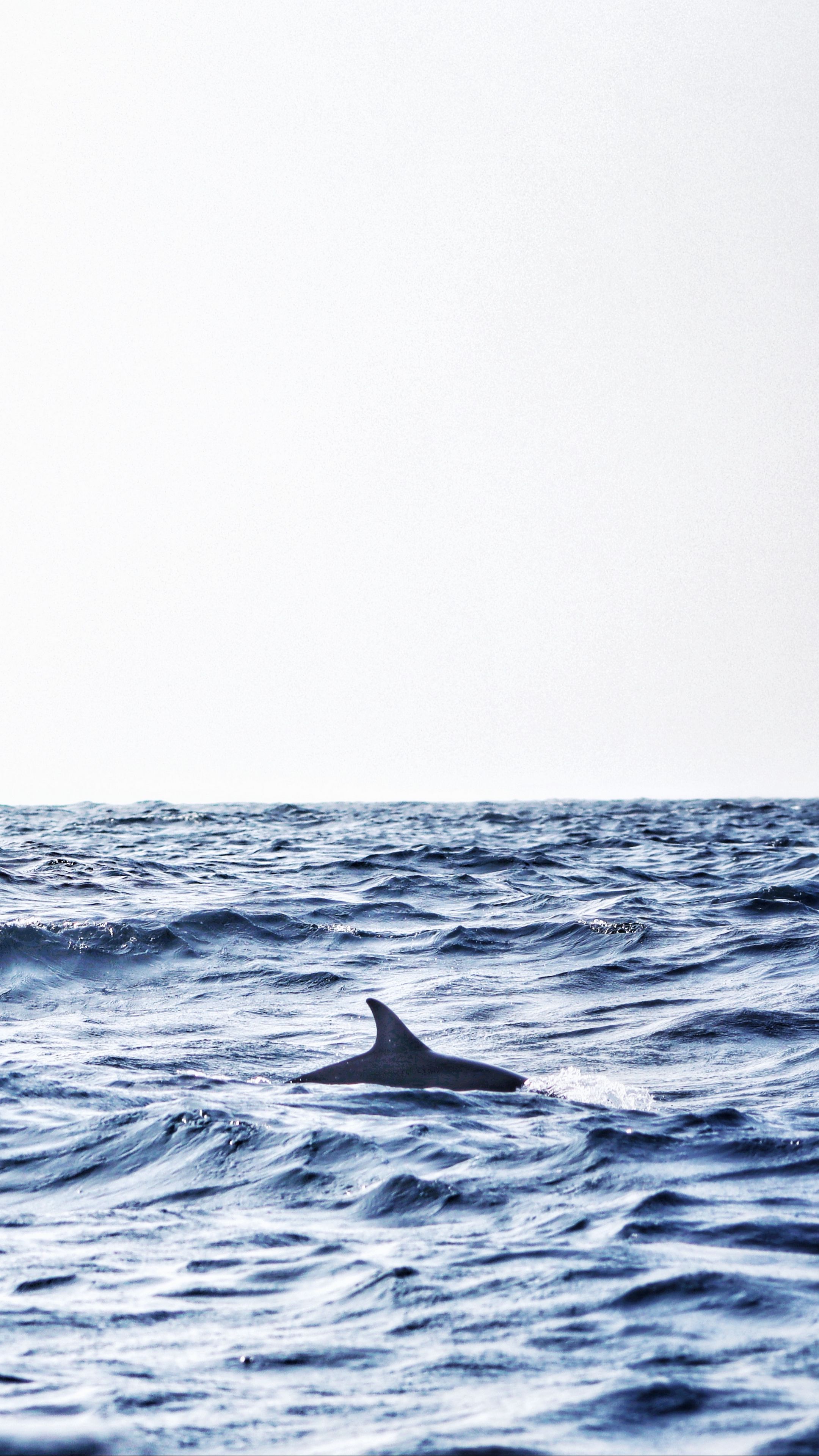 Download wallpaper 2160x3840 shark, fin, sea, waves samsung galaxy s4 ...