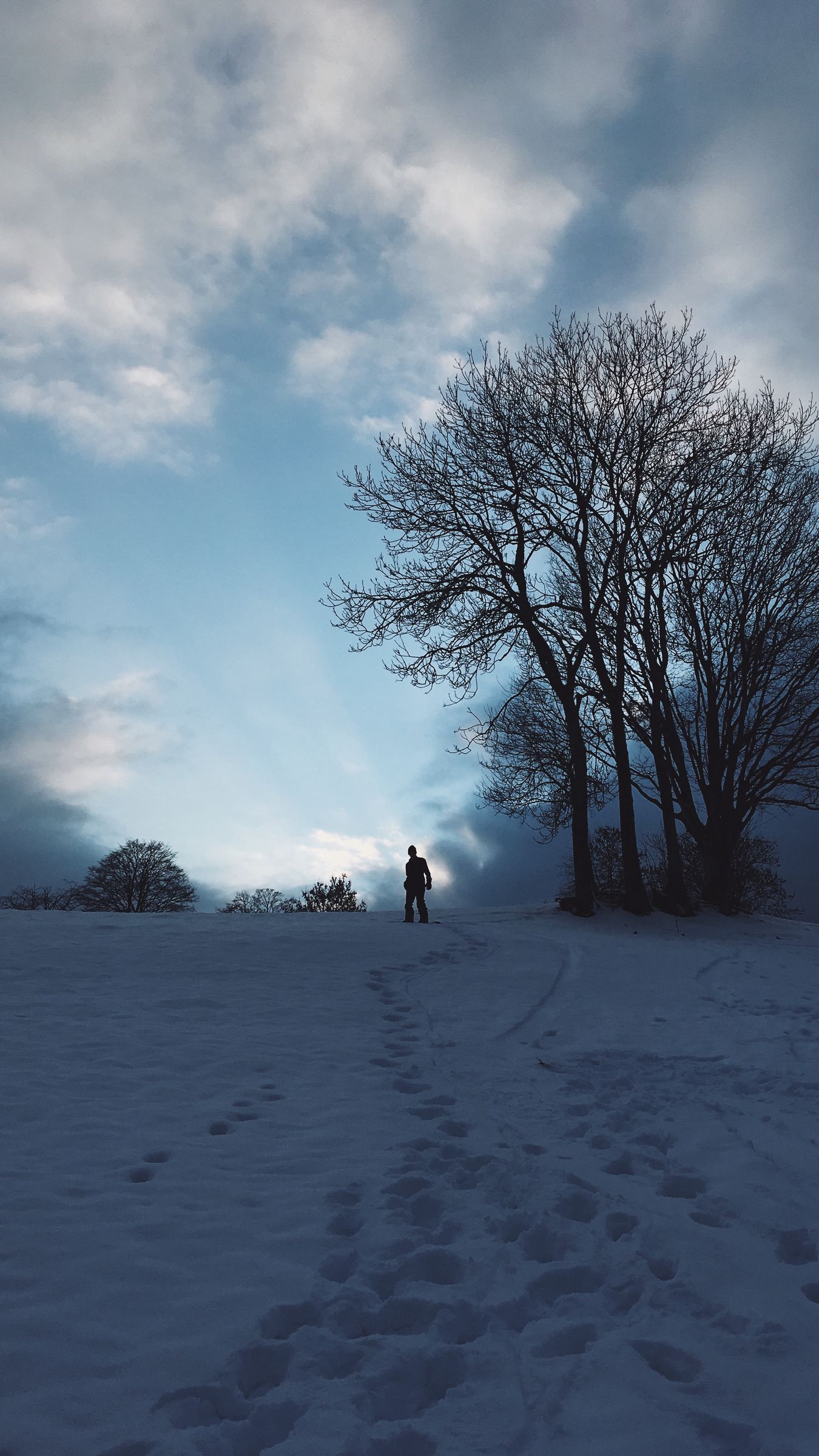 Download wallpaper 1350x2400 silhouette, snow, winter, tree, sky iphone ...