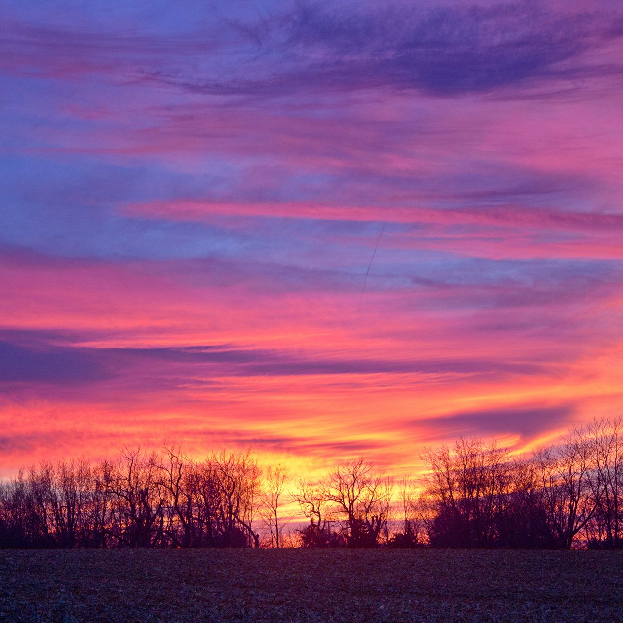 Download wallpaper 1280x1280 sky, colorful, horizon, trees ipad, ipad 2 ...