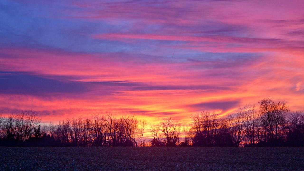 Wallpaper sky, colorful, horizon, trees hd, picture, image