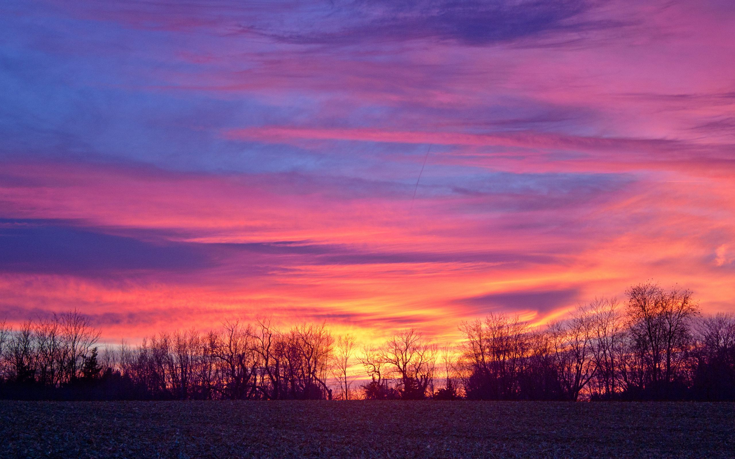 Download wallpaper 2560x1600 sky, colorful, horizon, trees widescreen ...