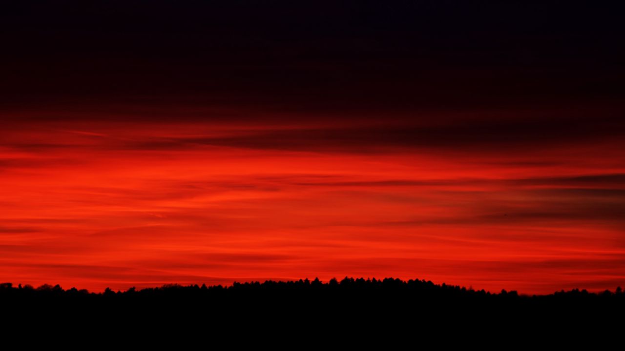 Wallpaper sky, red, horizon, trees hd, picture, image