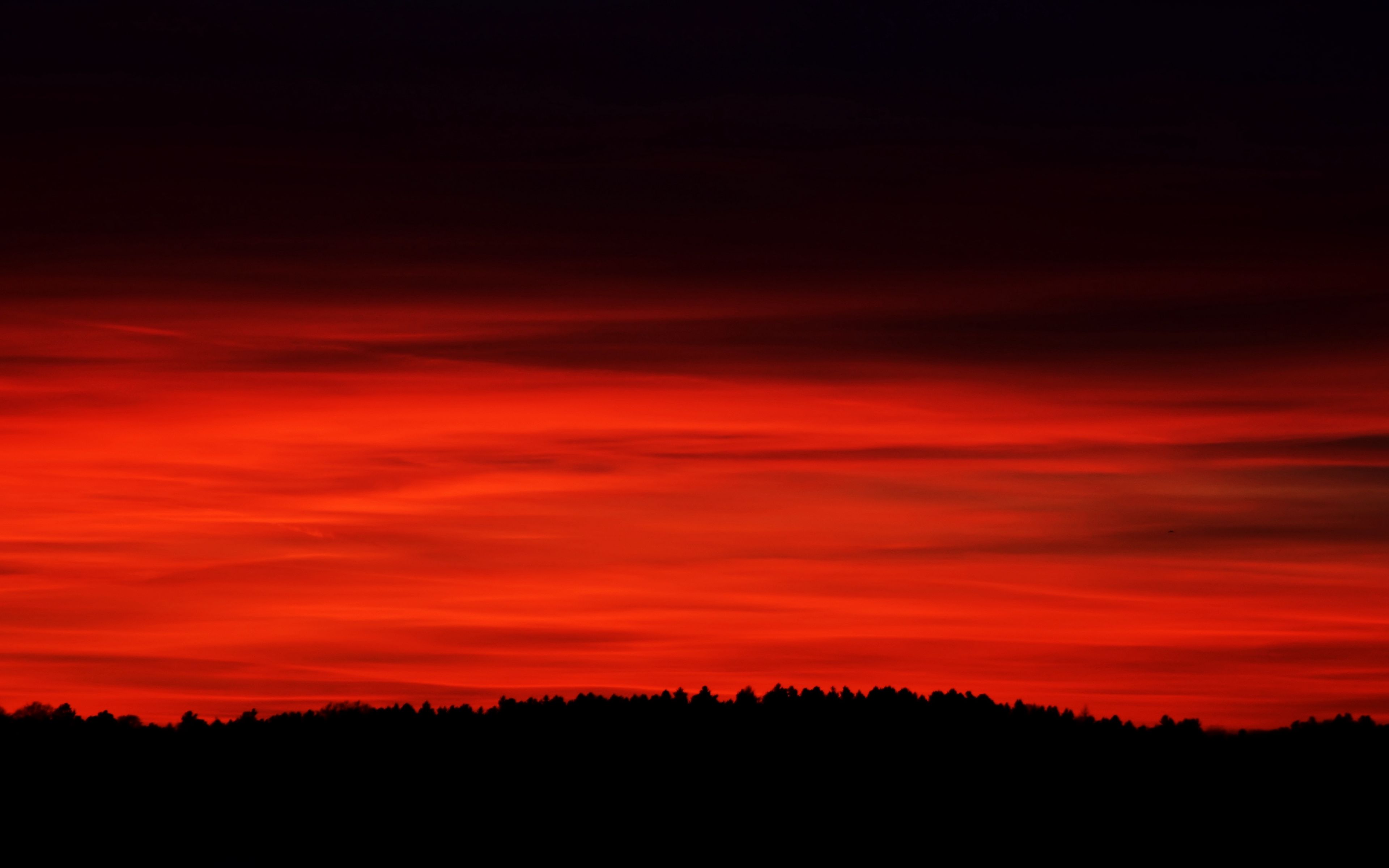Download wallpaper 3840x2400 sky, red, horizon, trees 4k ultra hd 16:10 ...