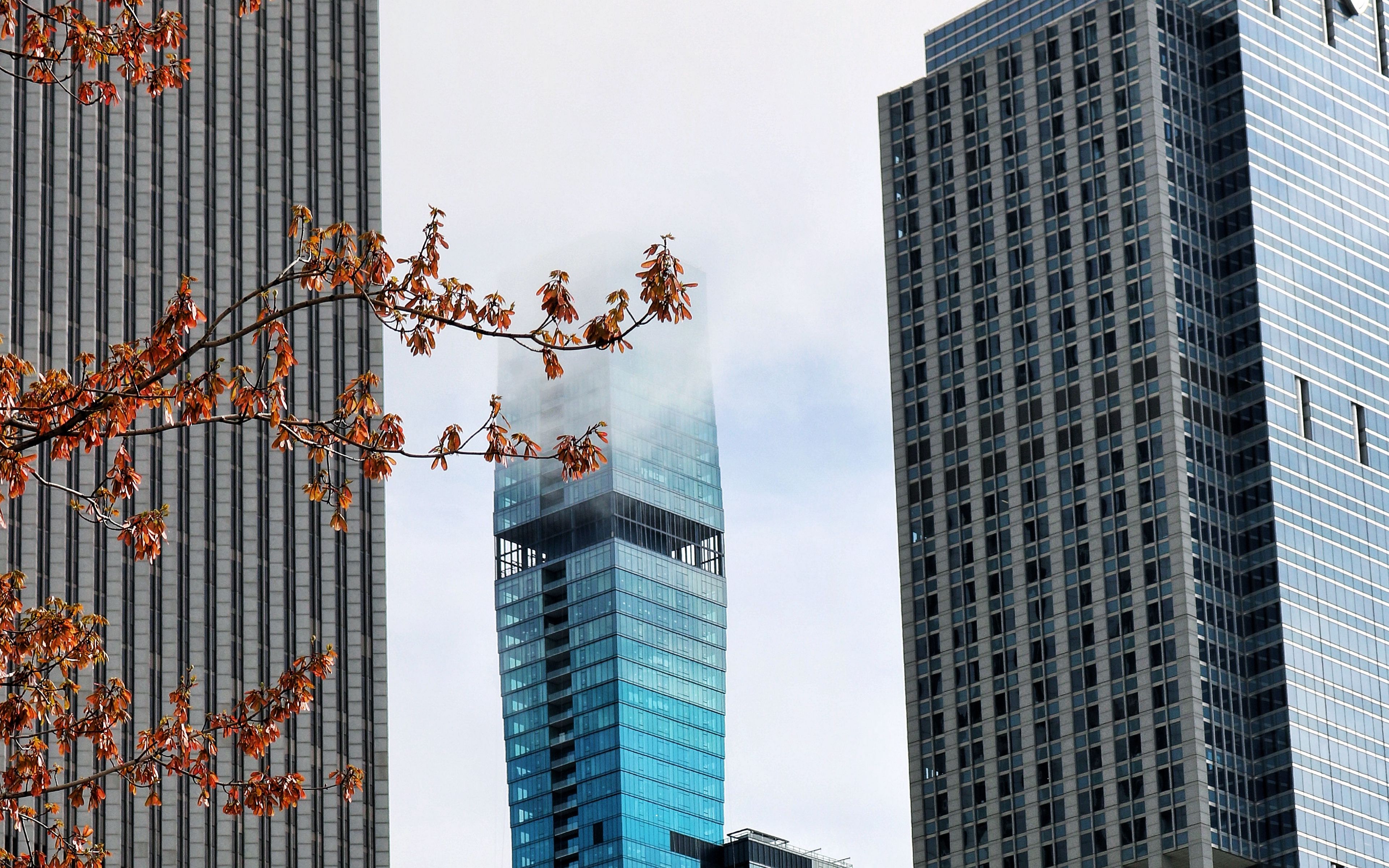 Download wallpaper 3840x2400 skyscrapers, buildings, trees ...