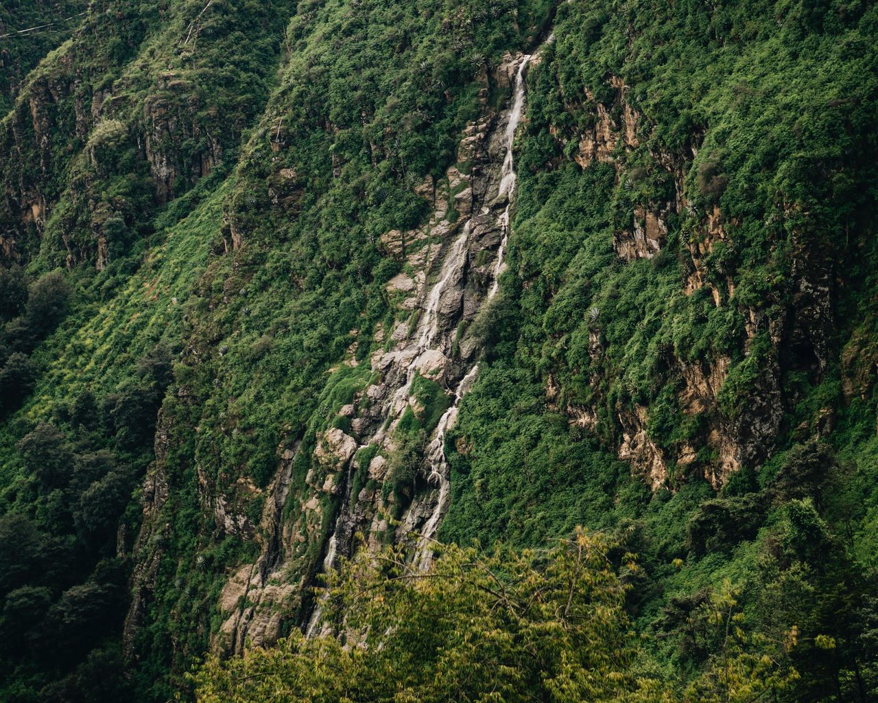 Download wallpaper 1280x1024 slope, cliff, trees, green, stones ...