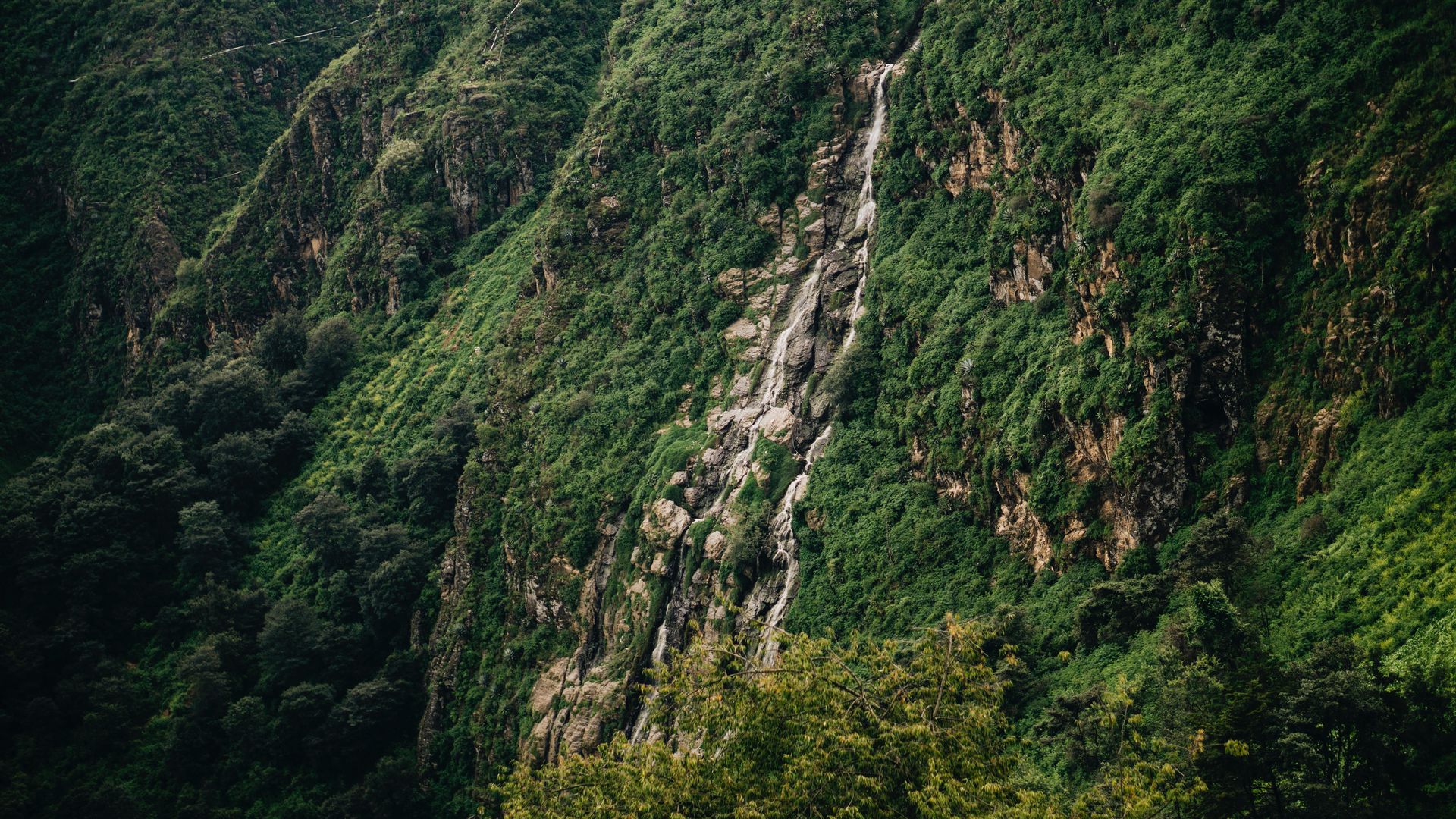 Download wallpaper 1920x1080 slope, cliff, trees, green, stones full hd ...