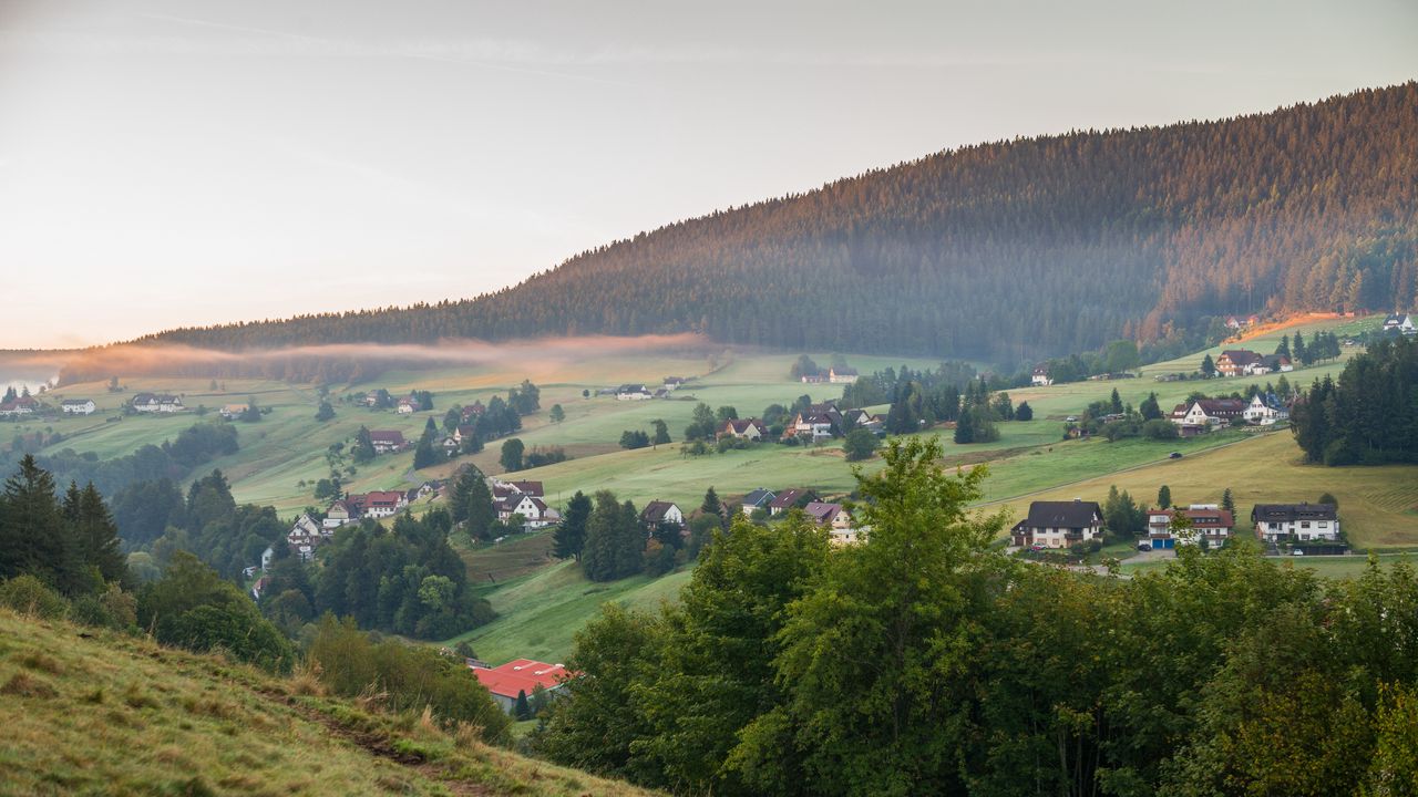 Wallpaper slope, house, trees, forest hd, picture, image