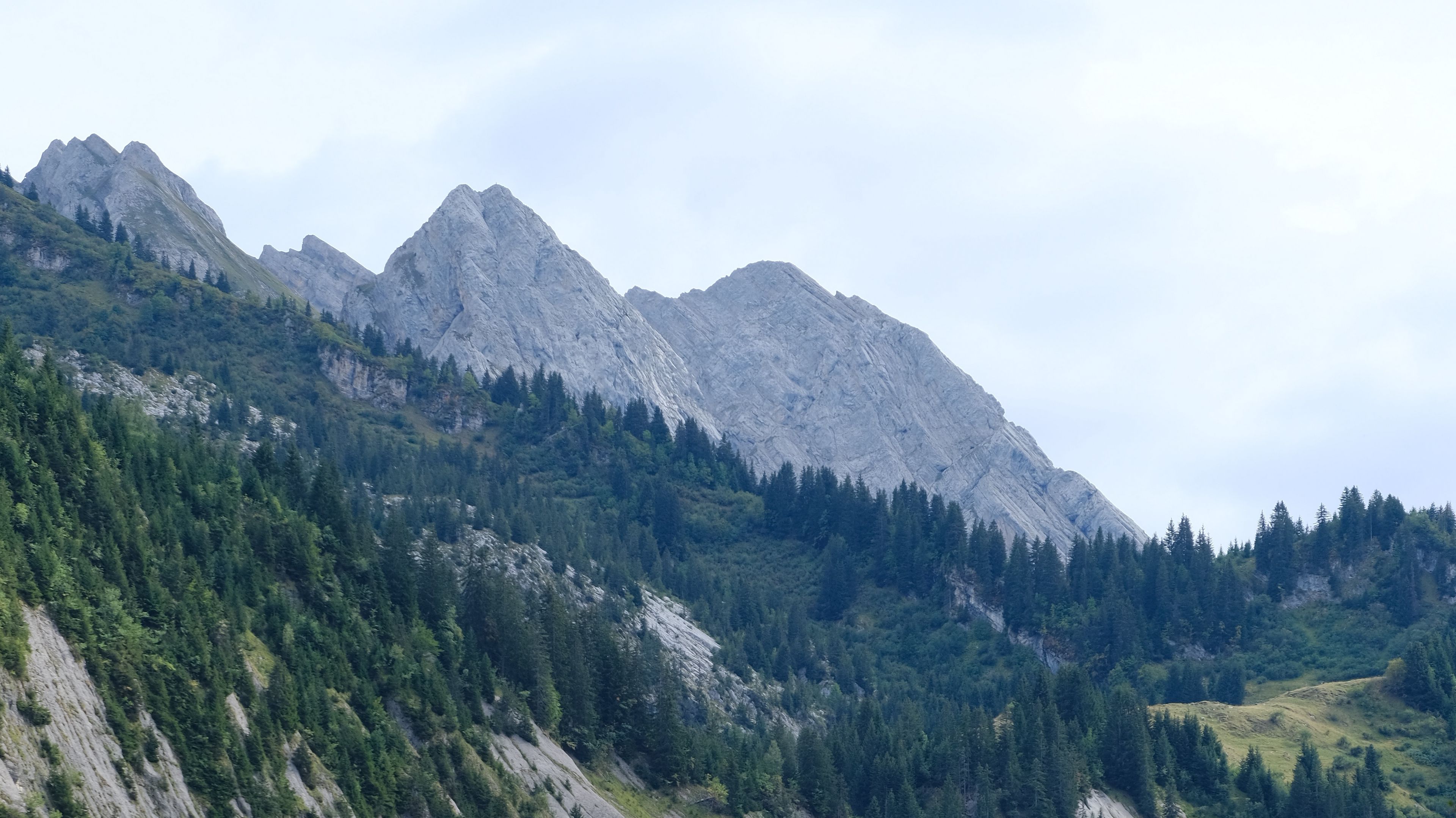 Download wallpaper 3840x2160 slope, trees, grass, mountains 4k uhd 16:9 ...