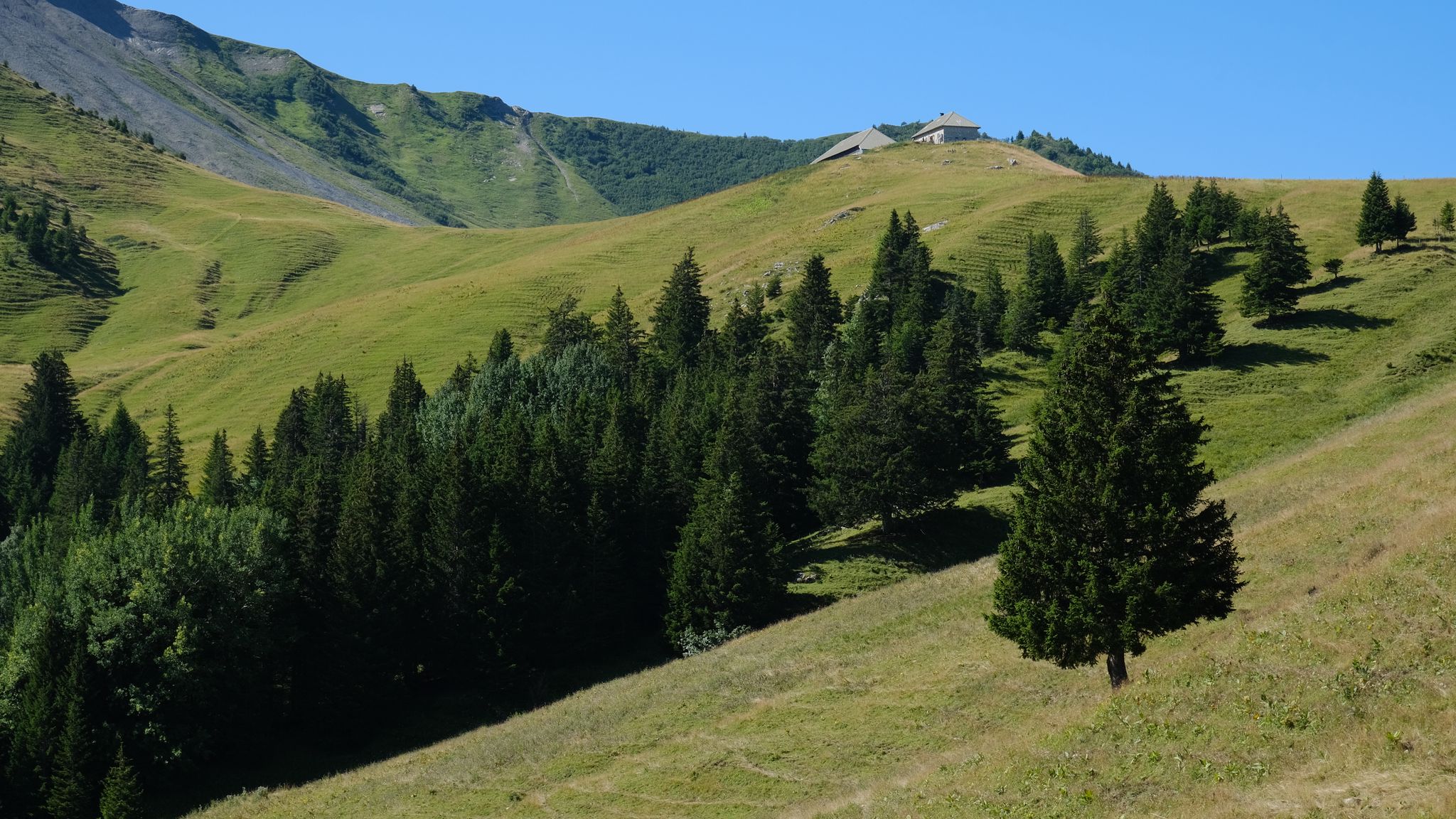 Download wallpaper 2048x1152 slope, trees, mountains, grass, landscape ...
