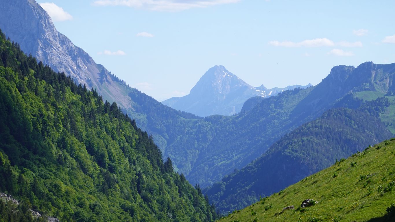 Download wallpaper 1366x768 slopes, mountains, forest, landscape tablet ...