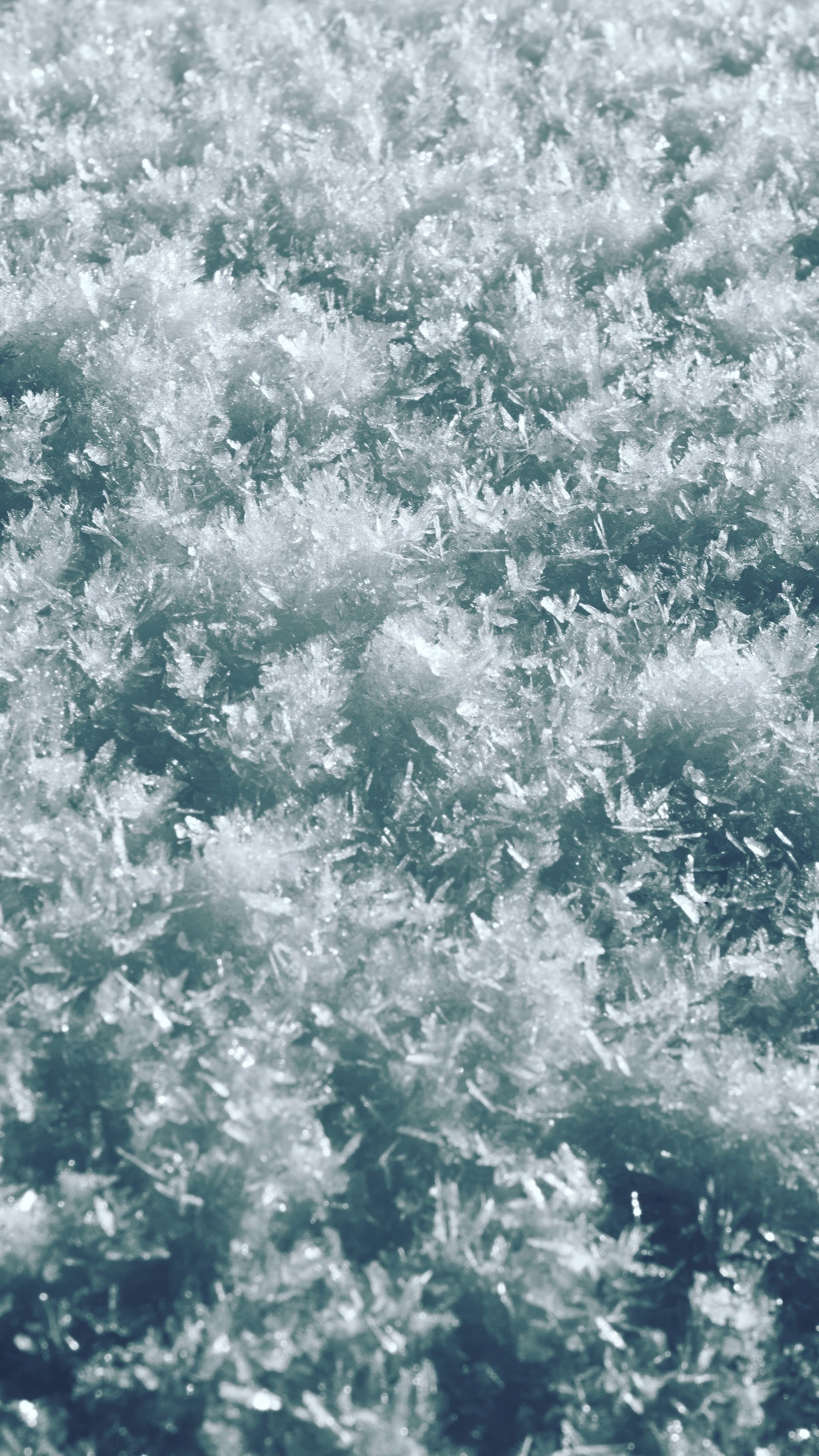 Download wallpaper 2160x3840 snow, background, relief, macro, white ...