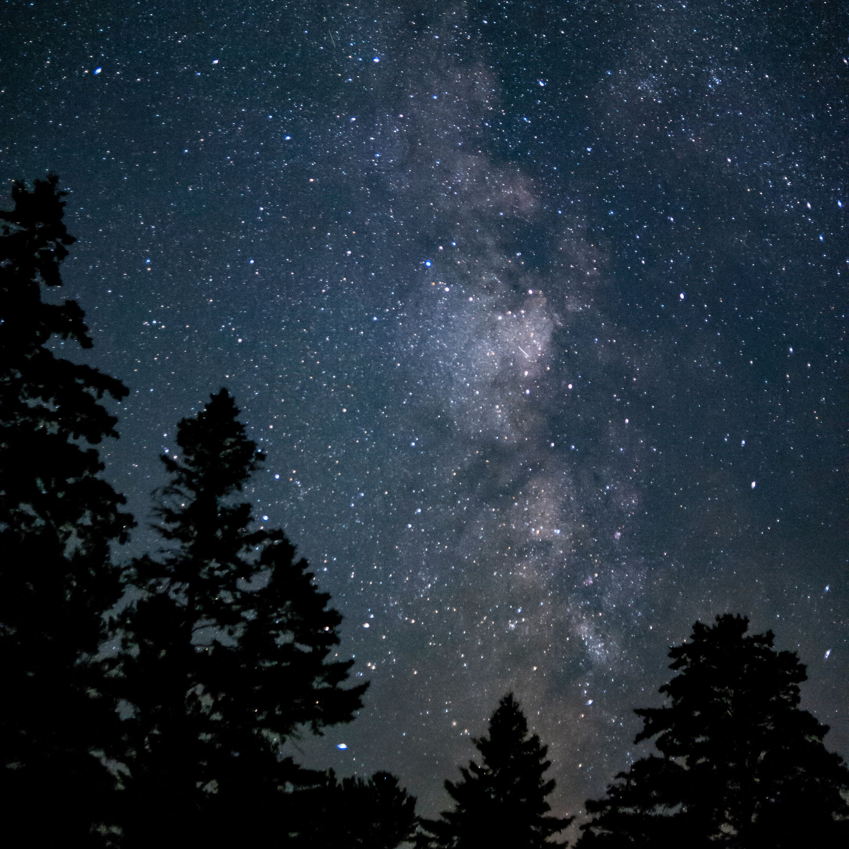 Download wallpaper 2780x2780 space, starry sky, trees, silhouette ipad ... Download wallpaper 2780x2780 space, starry sky, trees, silhouette ipad ...