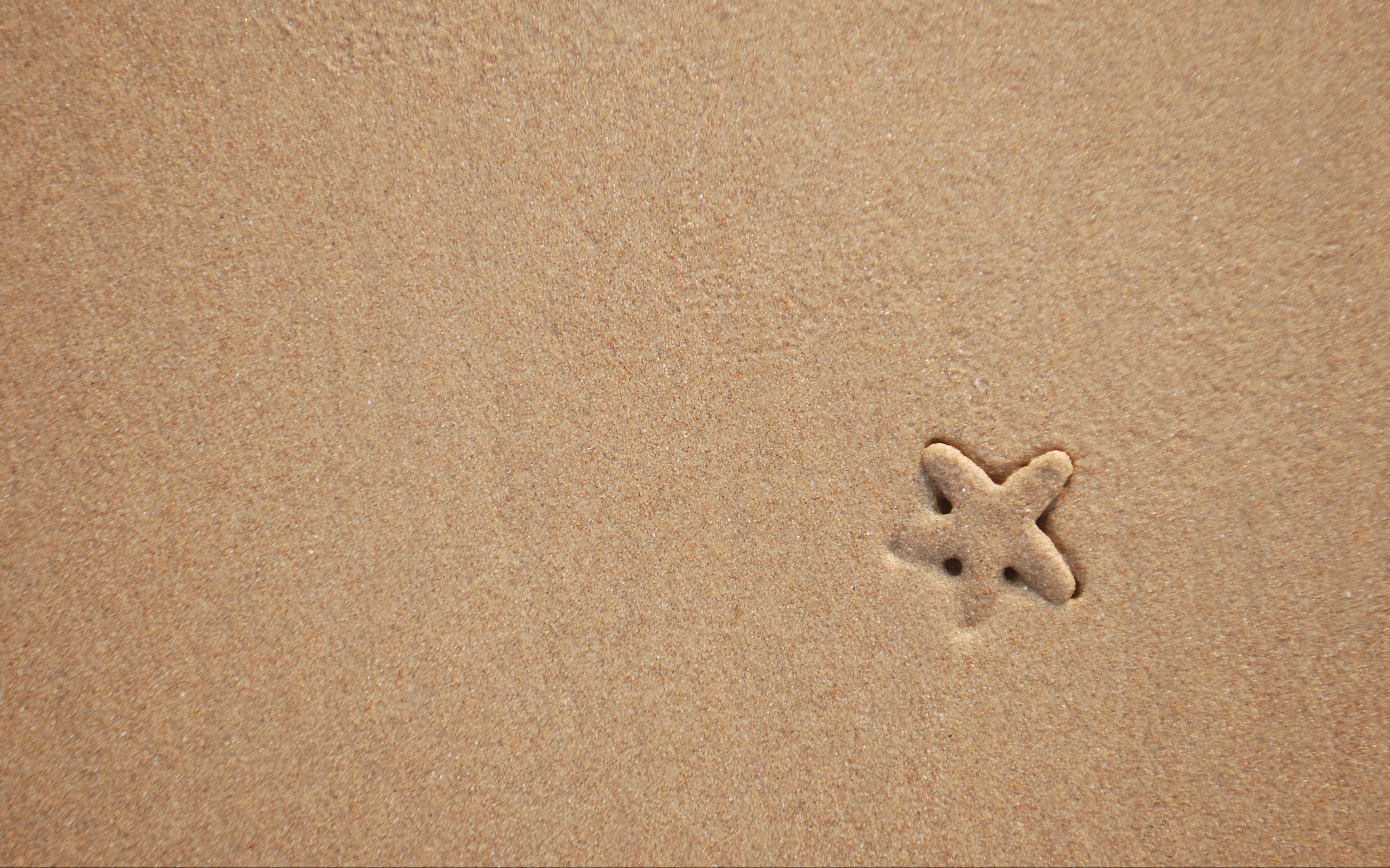 Download wallpaper 2560x1600 starfish, sand, beach, texture widescreen ...