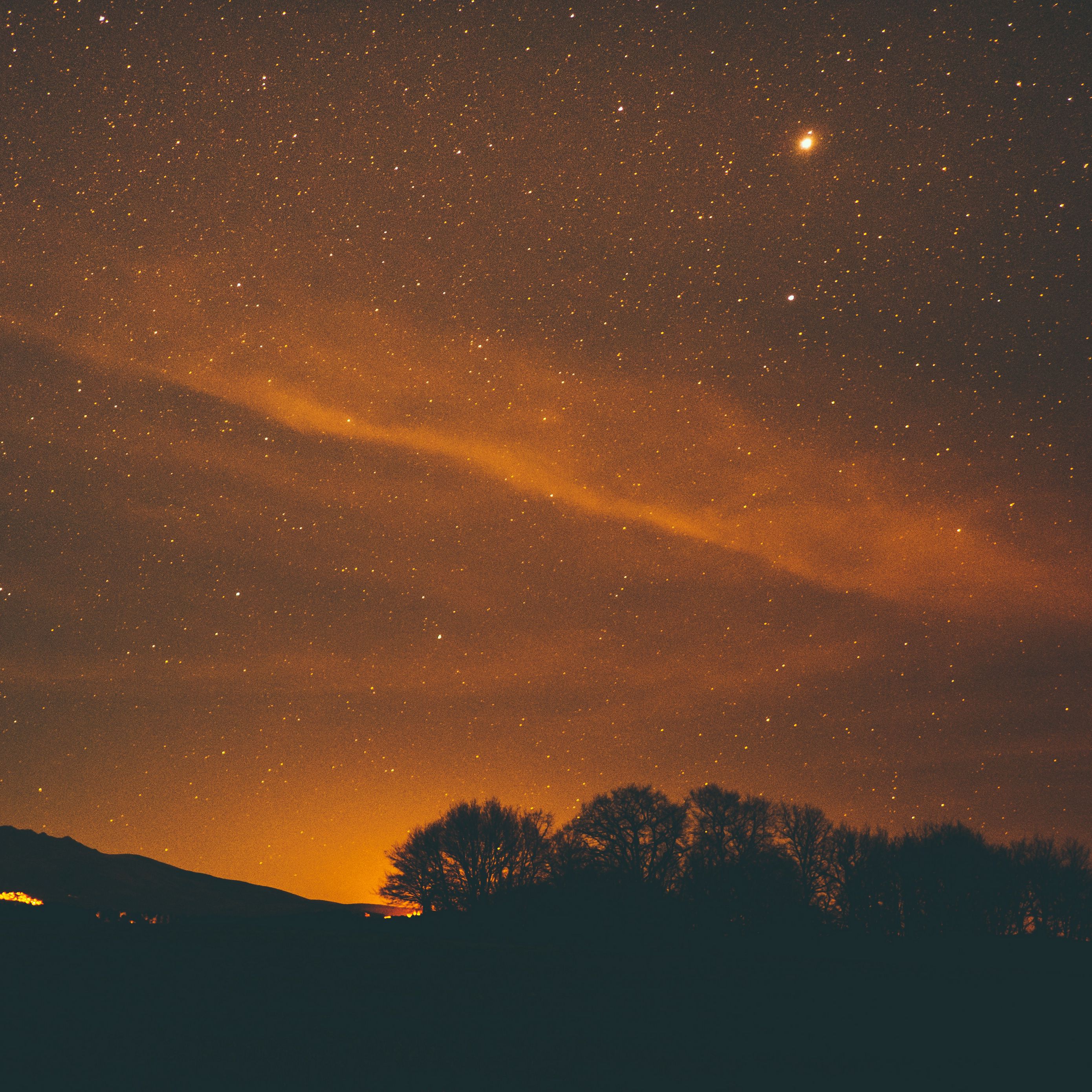 Download wallpaper 2780x2780 starry sky, night, stars, trees ipad air ... Download wallpaper 2780x2780 starry sky, night, stars, trees ipad air ...