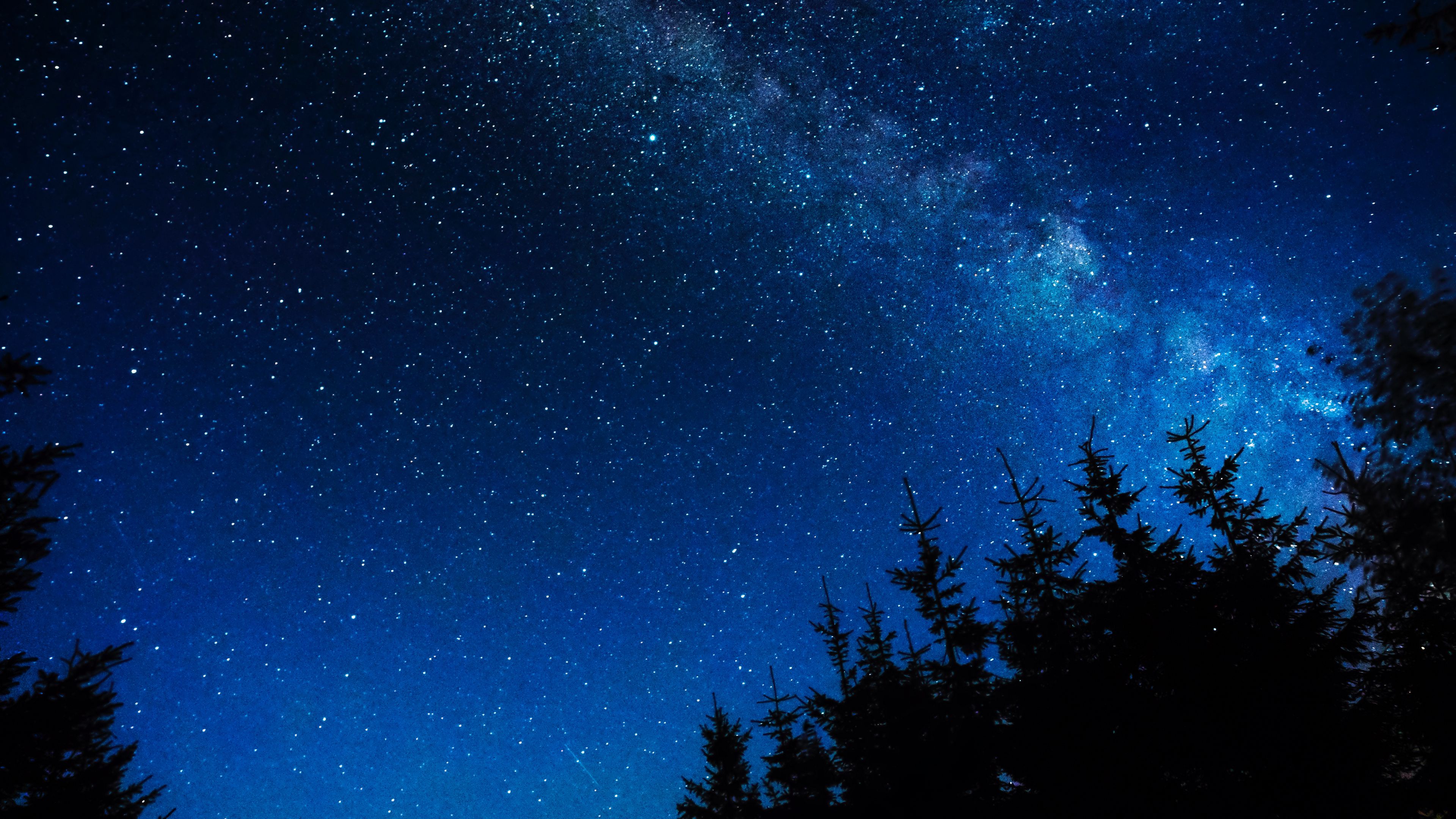 Download wallpaper 3840x2160 starry sky, night, stars, glitter, trees ...