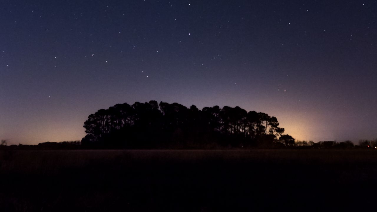 Wallpaper starry sky, night, trees, horizon hd, picture, image