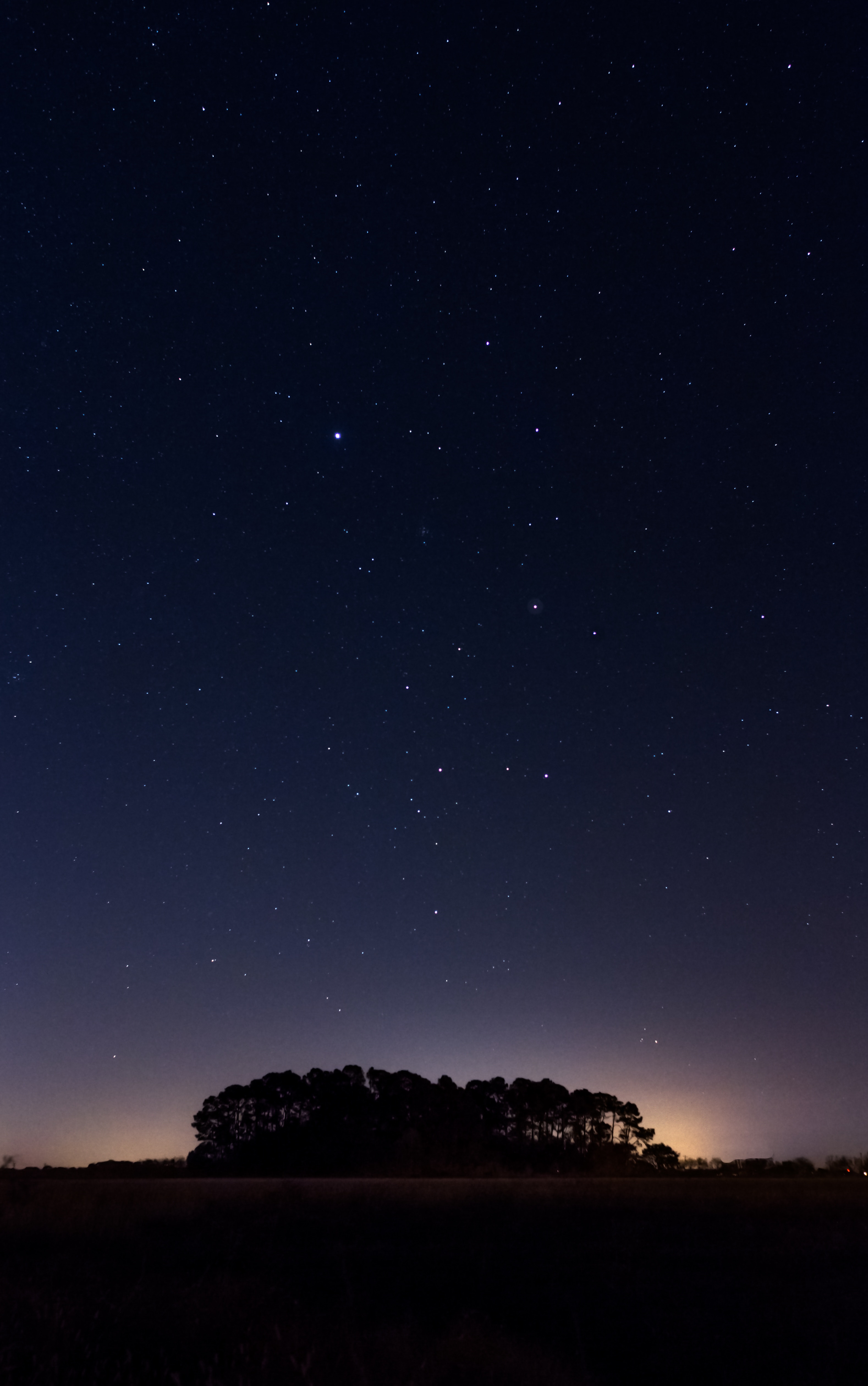 Download wallpaper 3156x5039 starry sky, night, trees, horizon hd ...