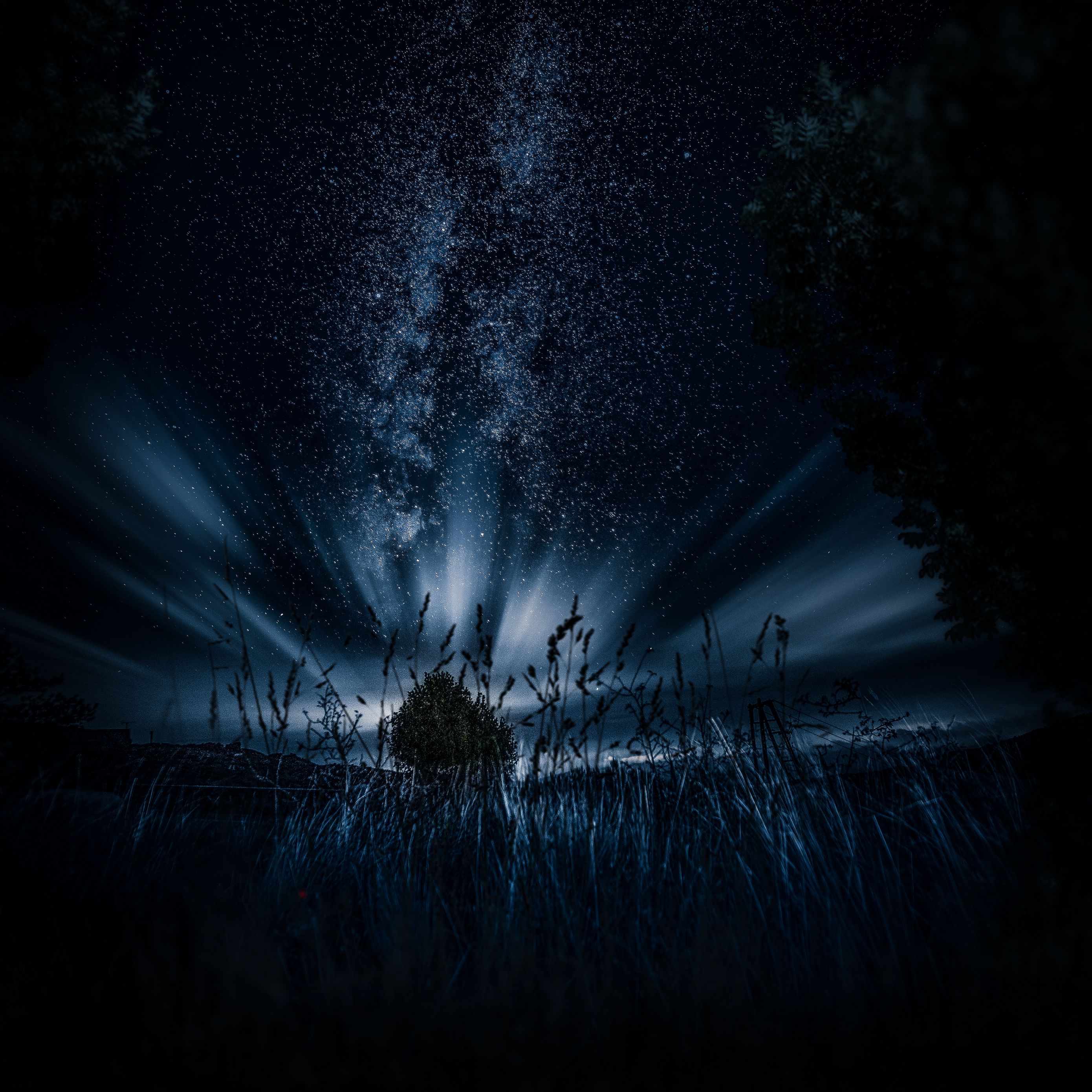 Download wallpaper 2780x2780 starry sky, tree, grass, night ipad air ... Download wallpaper 2780x2780 starry sky, tree, grass, night ipad air ...