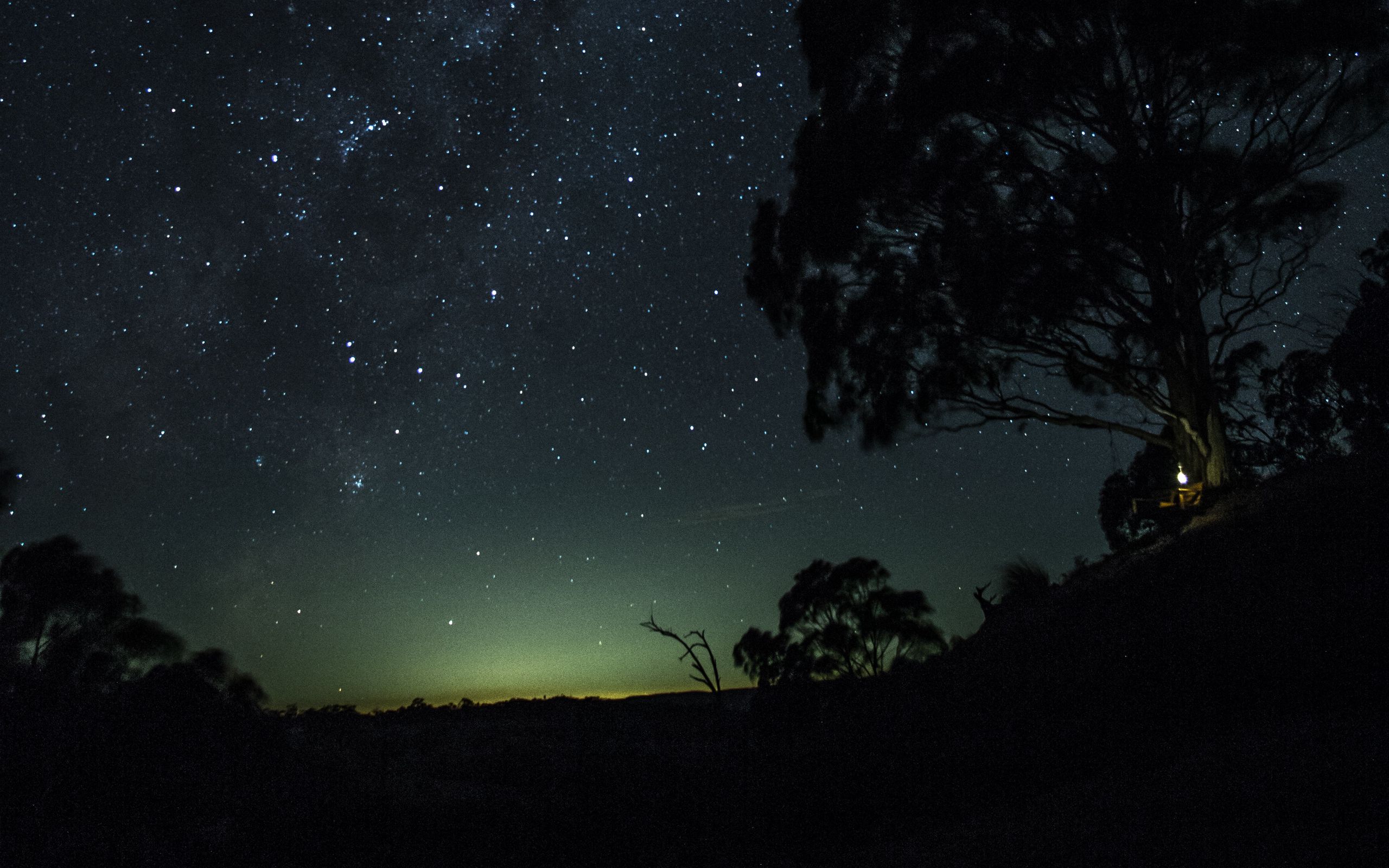Download wallpaper 2560x1600 starry sky, tree, hill, horizon, night ...