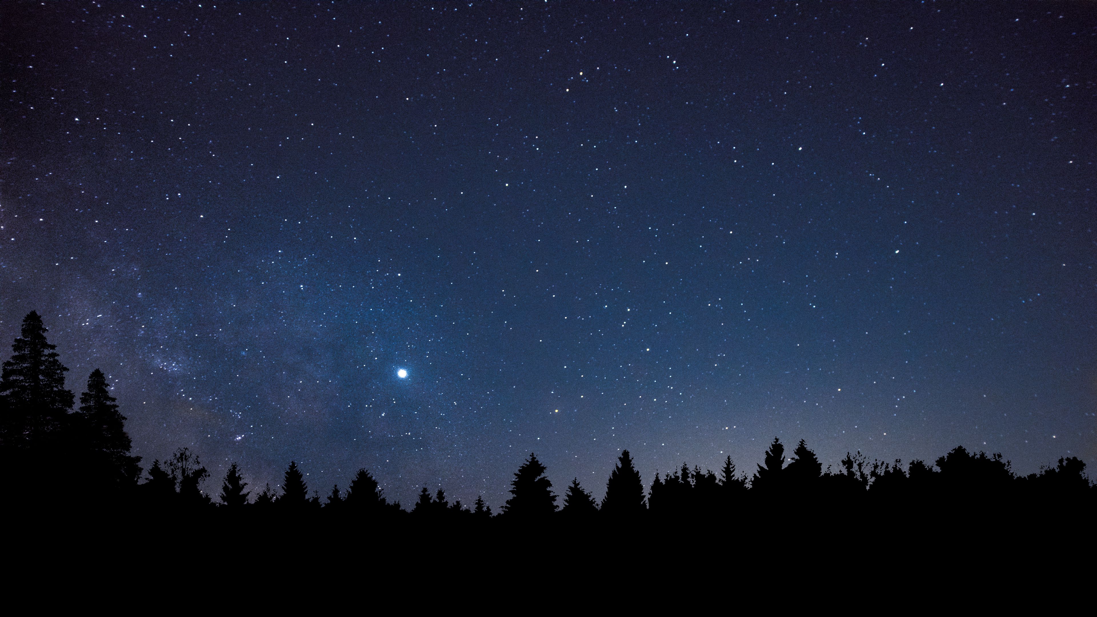 Download wallpaper 3840x2160 starry sky, trees, space 4k uhd 16:9 hd ...