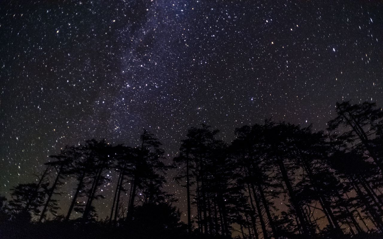 Download wallpaper 1280x800 stars, constellations, starry sky, night ...