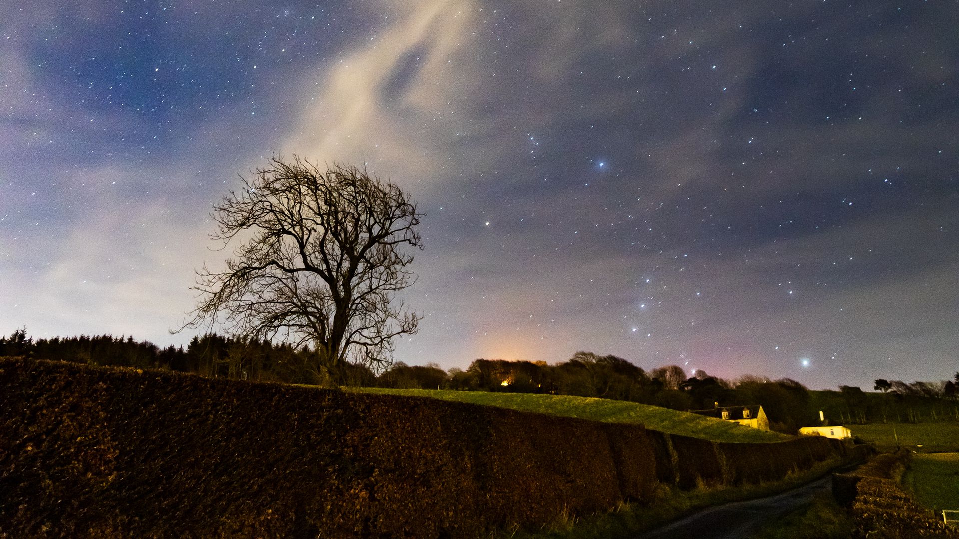Download wallpaper 1920x1080 stars, sky, night, tree, nature, landscape ...