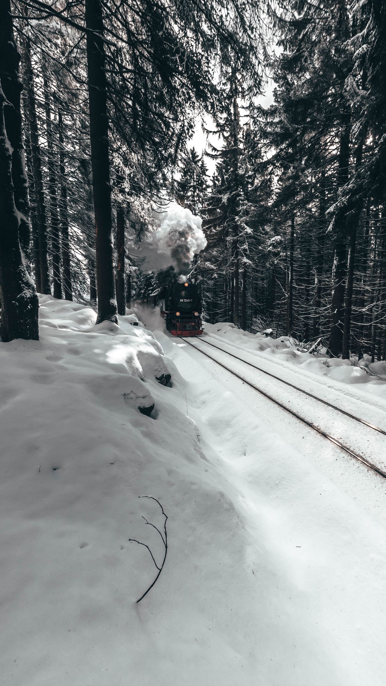 Download wallpaper 1350x2400 locomotive, train, forest, snow, winter ...