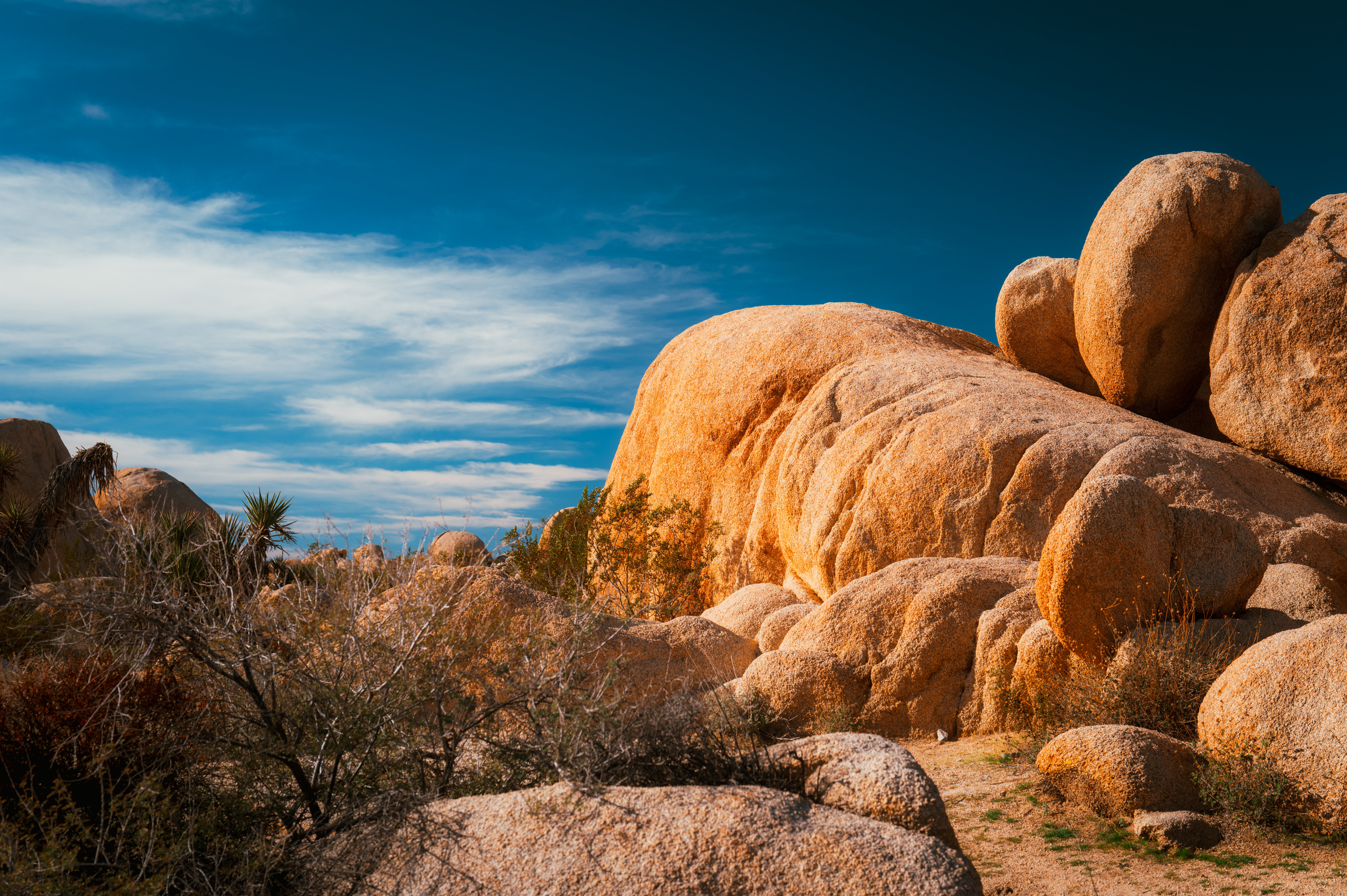 Download wallpaper 6144x4089 stones, desert, trees, branches, nature hd ...