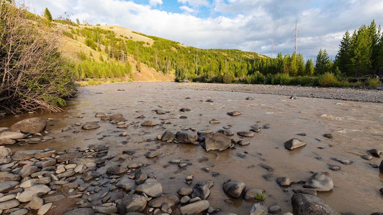 Wallpaper stones, river, trees, nature hd, picture, image