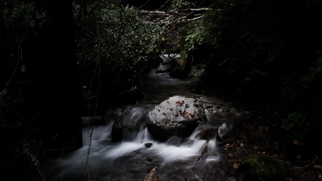 Wallpaper stones, stream, trees, dark hd, picture, image