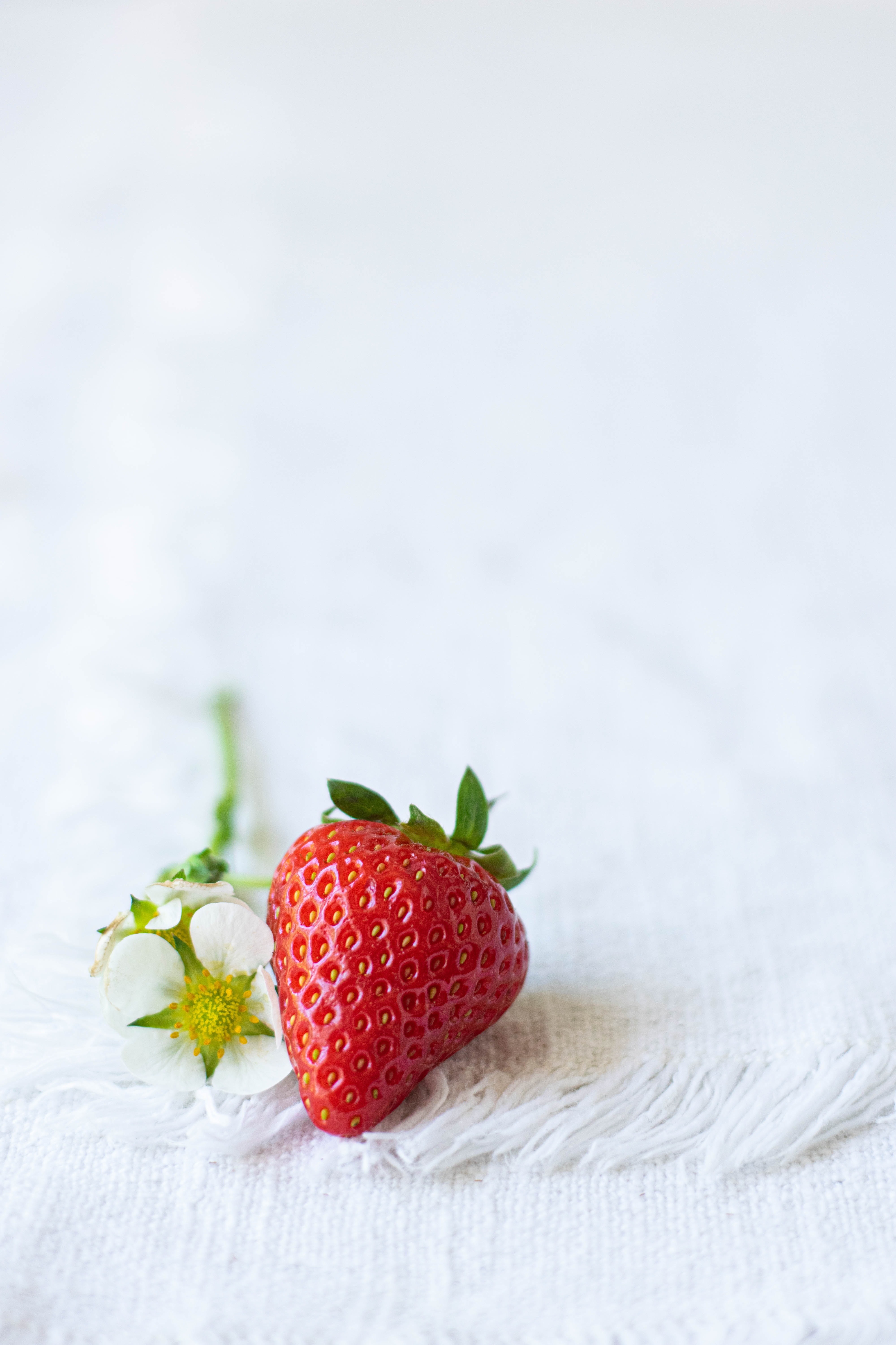 Download wallpaper 4000x6000 strawberries, berry, flowers, cloth hd ...