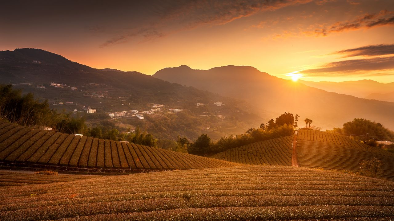 Wallpaper sun, hill, road, rays hd, picture, image