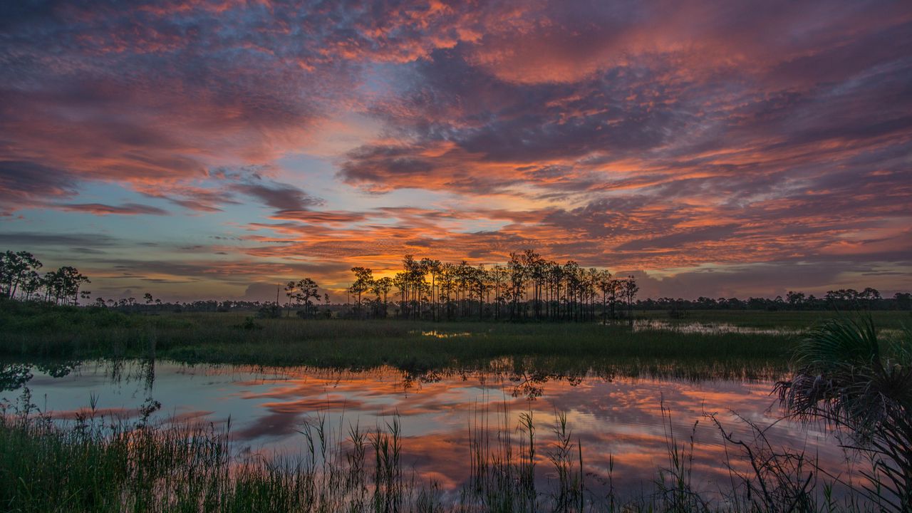 Wallpaper sunset, lake, trees, reflection hd, picture, image