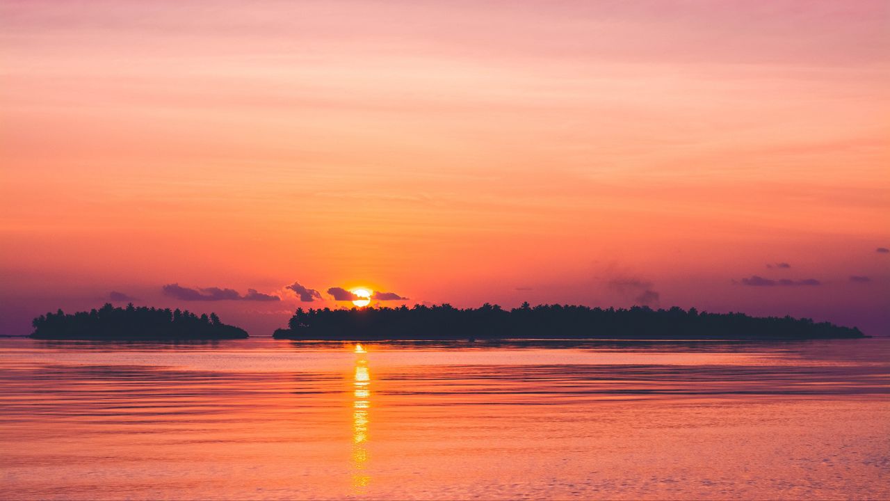 Wallpaper sunset, sea, skyline, trees, sky hd, picture, image