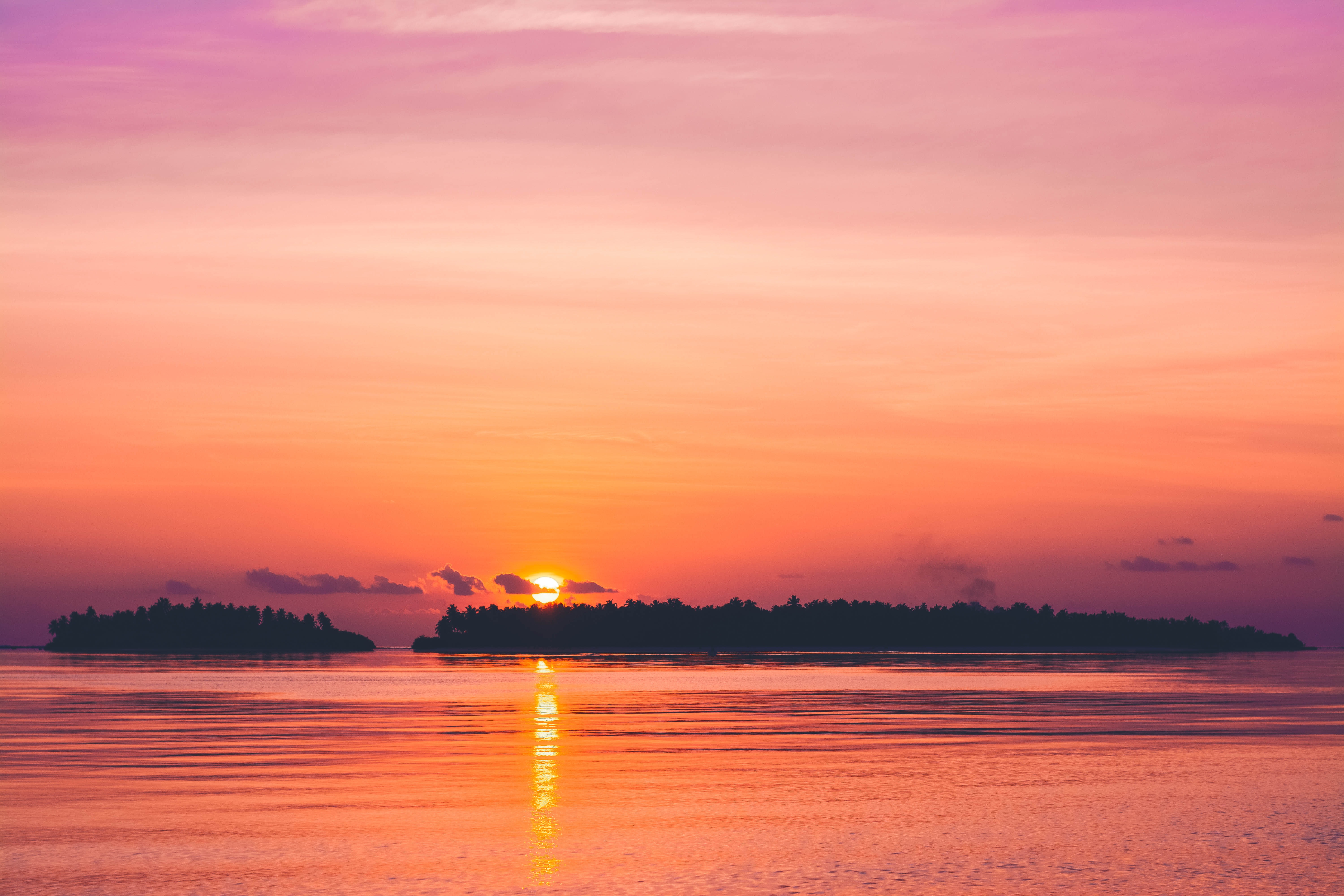 Download wallpaper 6000x4000 sunset, sea, skyline, trees, sky hd background