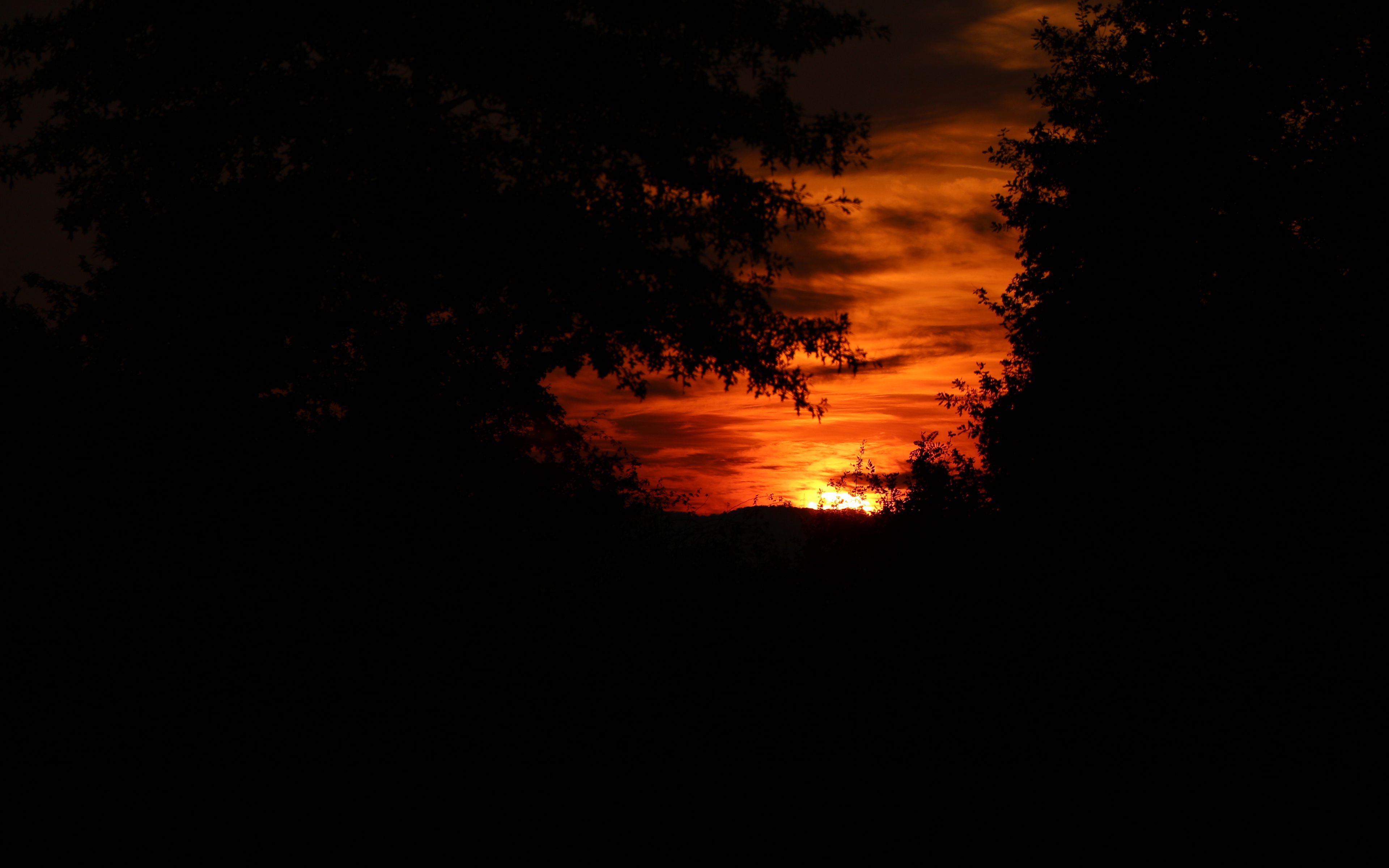 Download wallpaper 3840x2400 sunset, silhouette, branches, black 4k ...